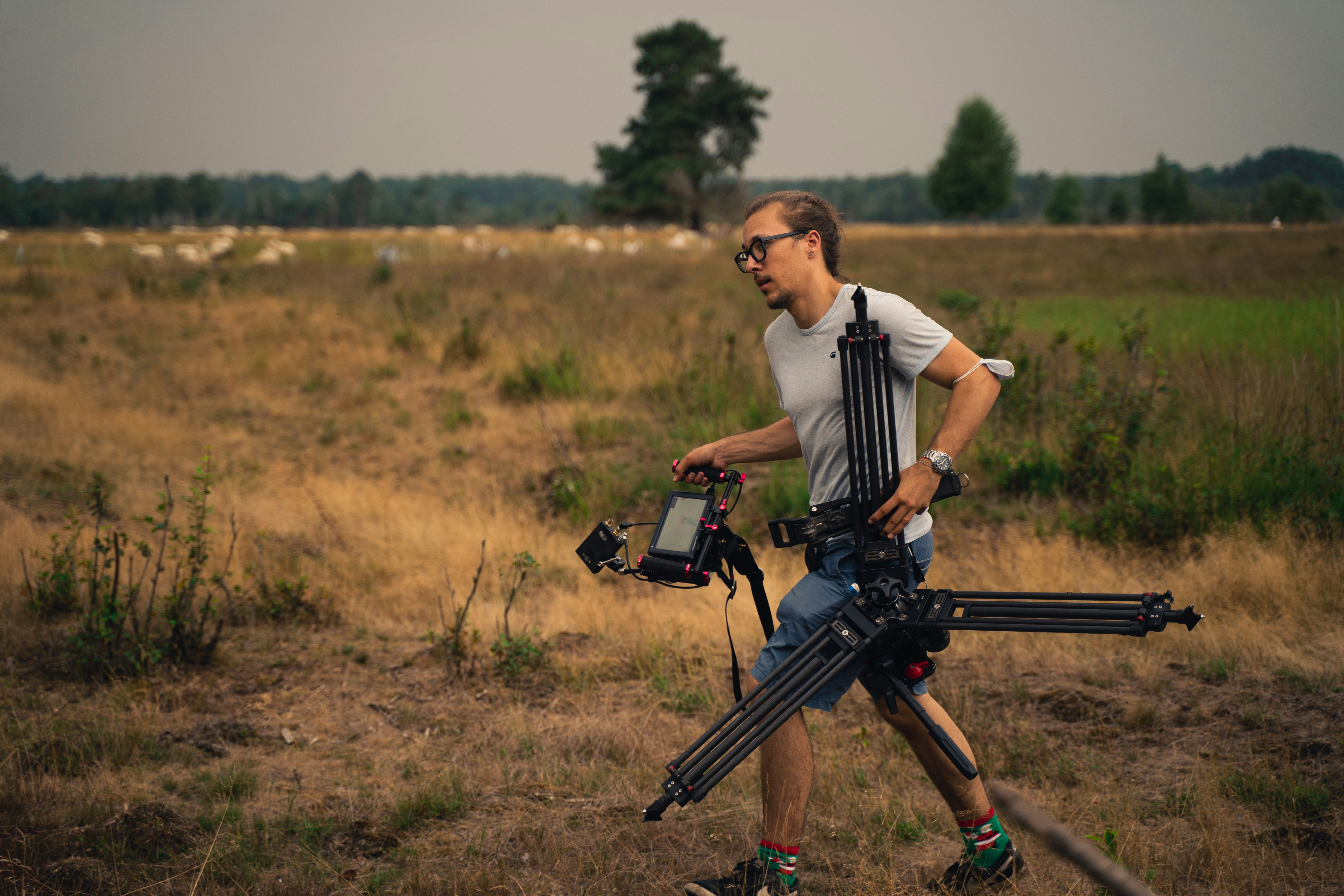 The Art of Motion: A Cinematographer's Journey