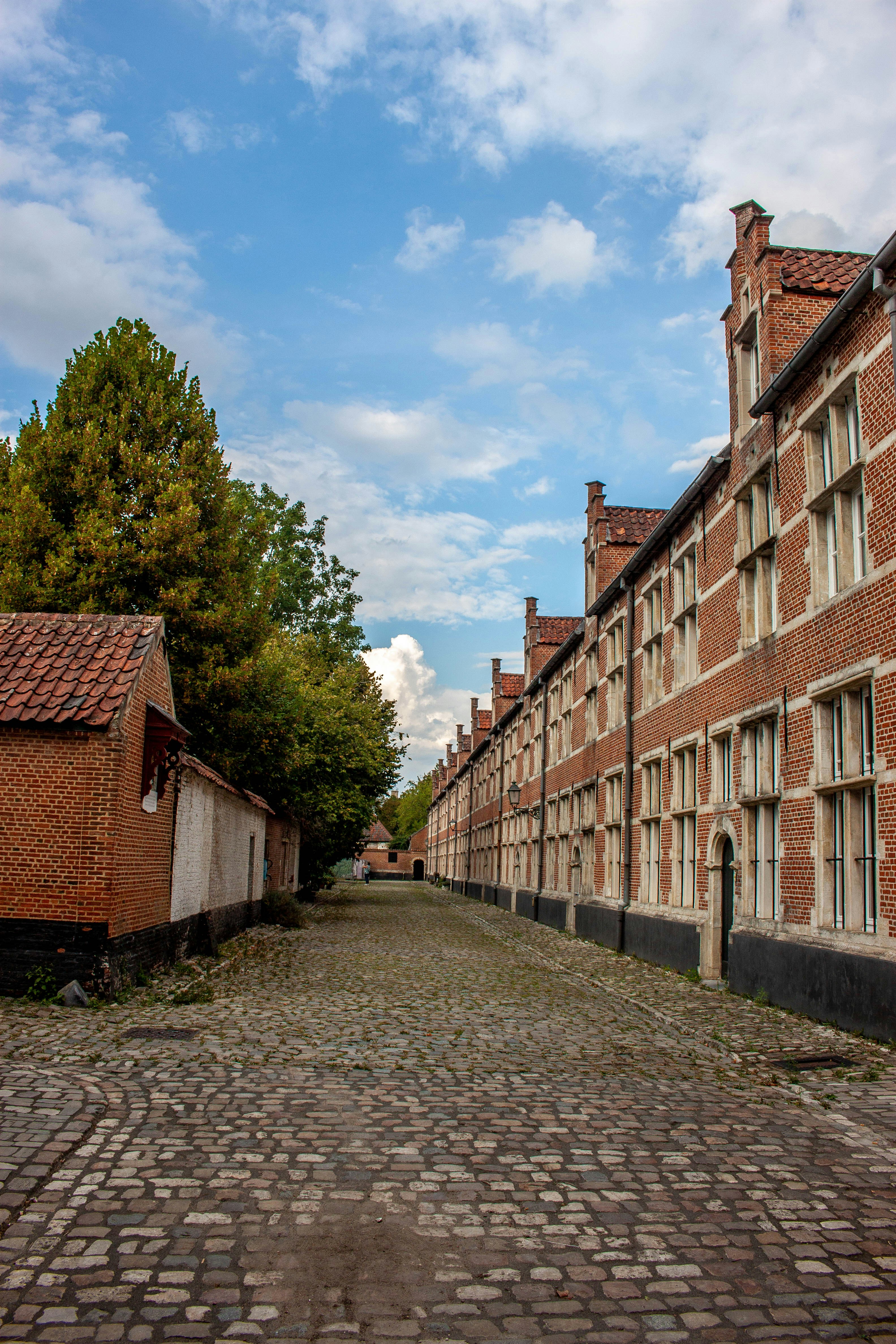 A brick road between buildings photo – Free Blue Image on Unsplash