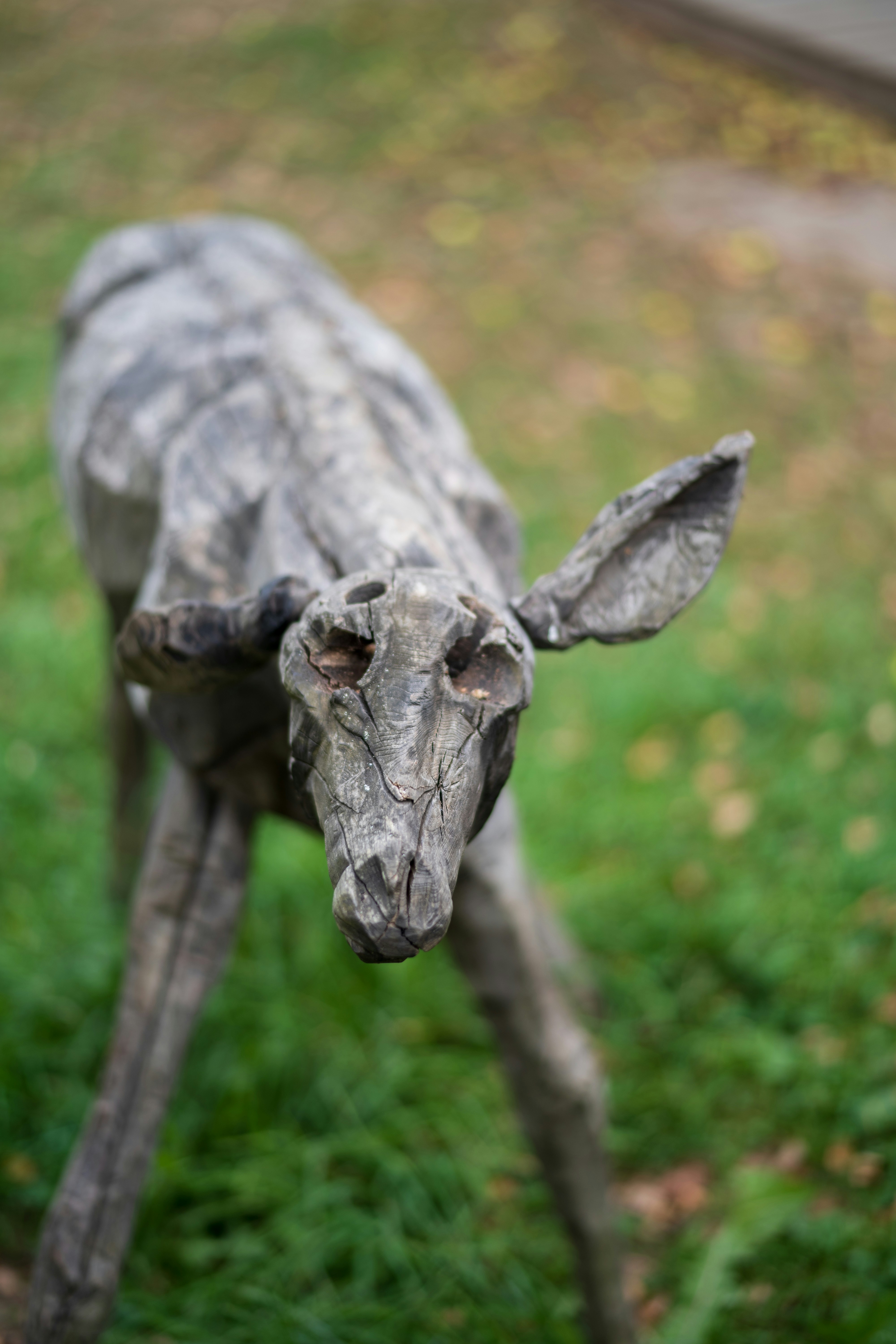 Forest-worn Greyhound Stare: A Close Encounter with a Weathered Brushwood Sculpture