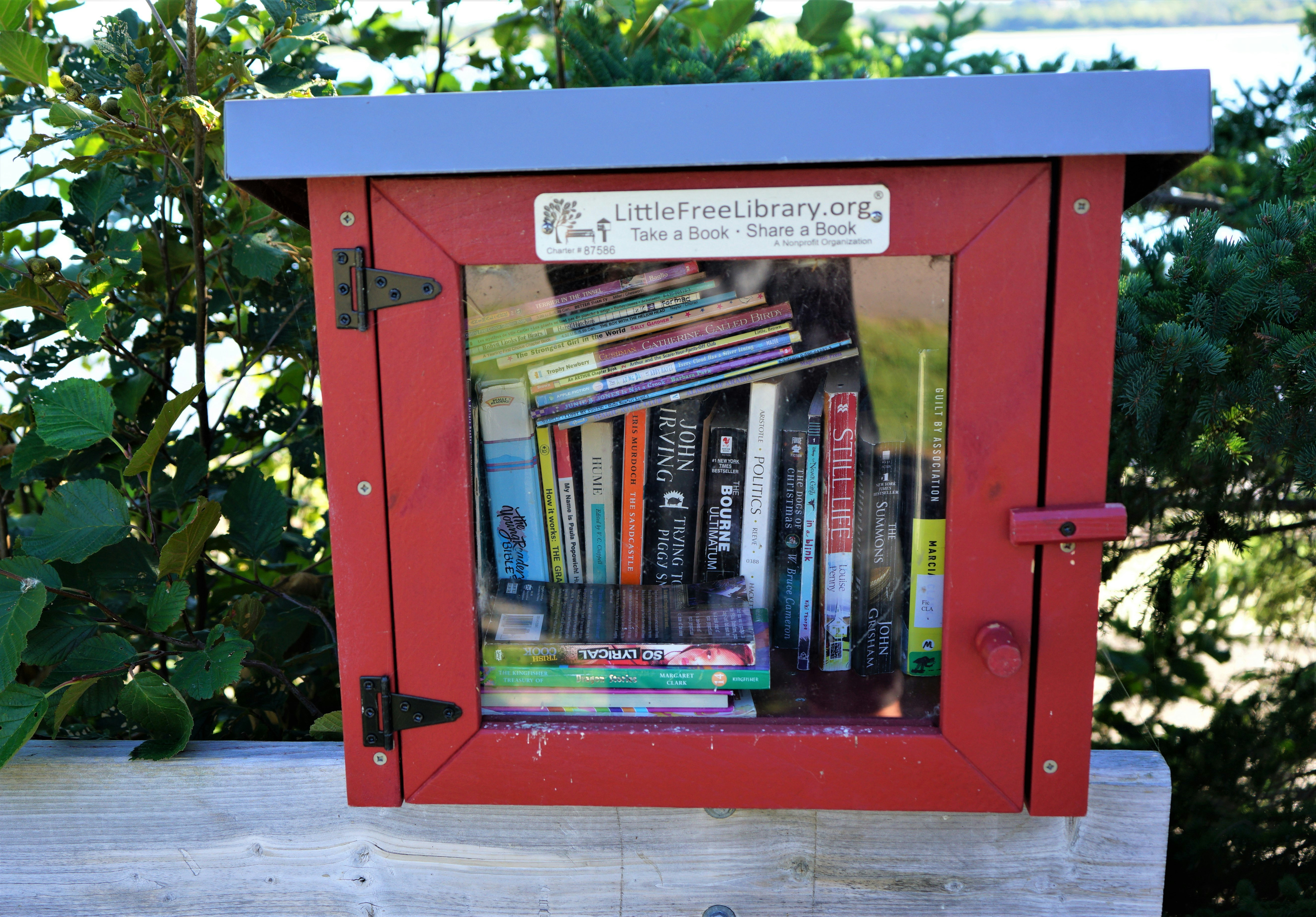A Community Corner of Literary Treasures