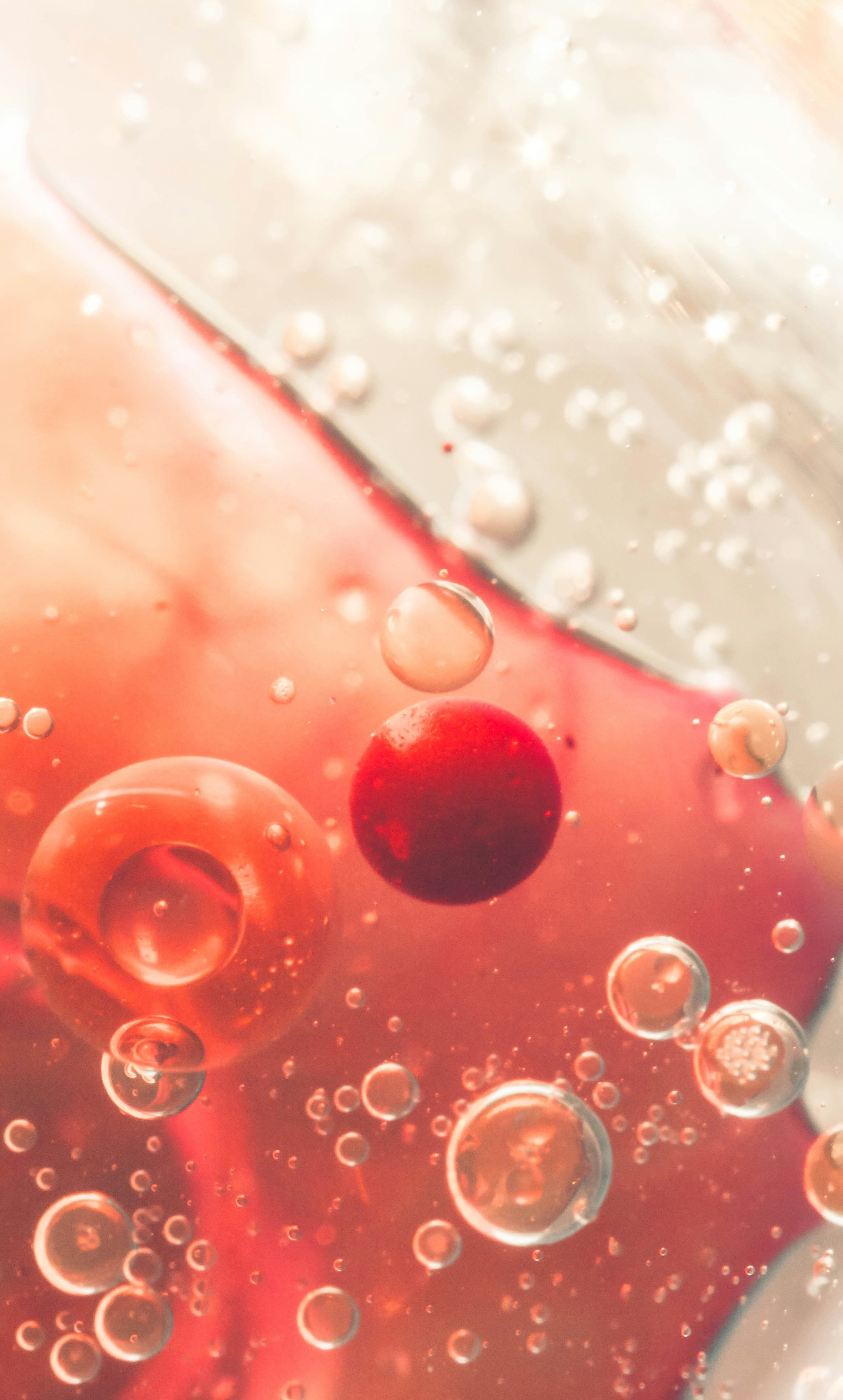 A close-up of water drops photo – Free Bubble Image on Unsplash