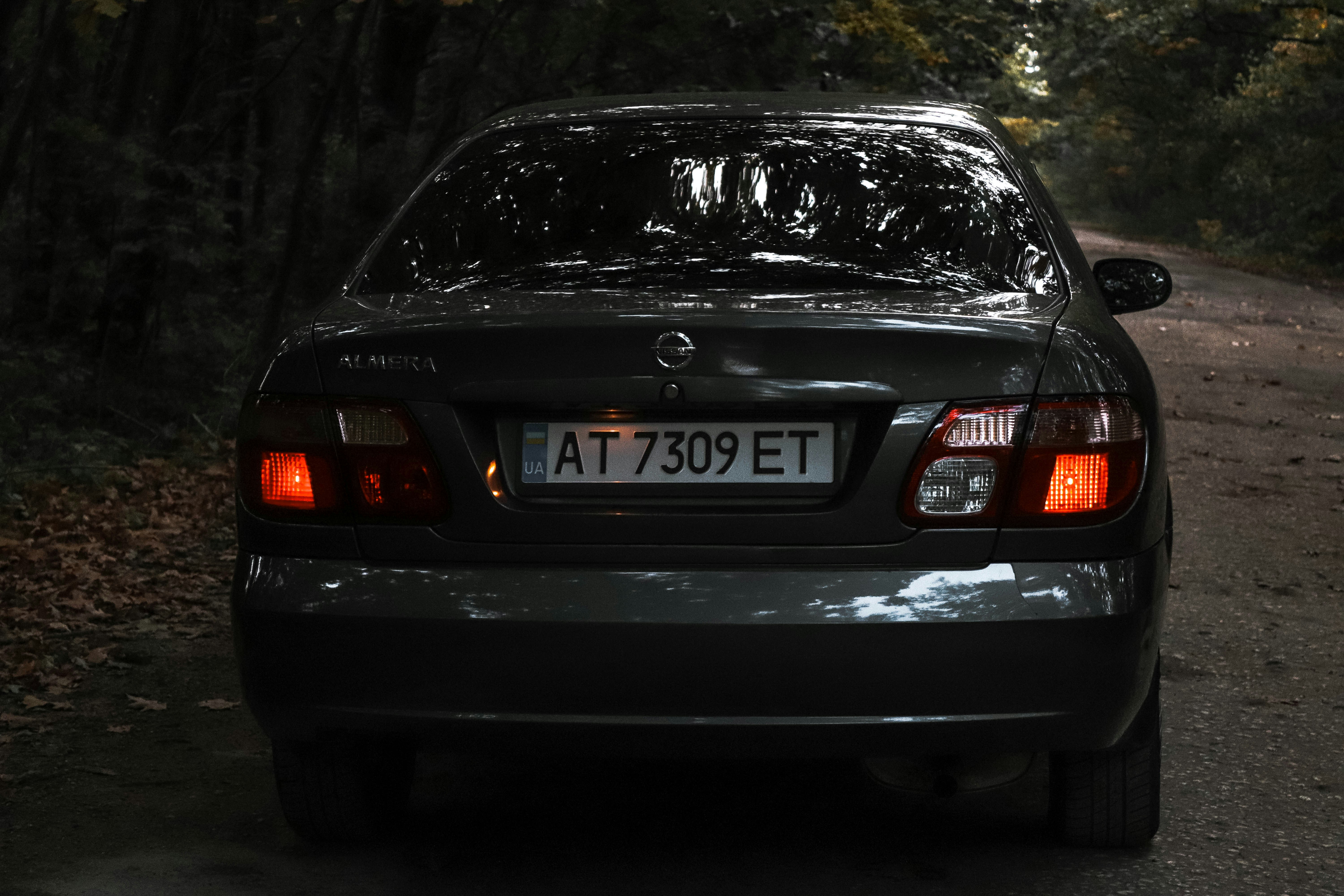 Tail Lights in the Pines: A Dim Nightride