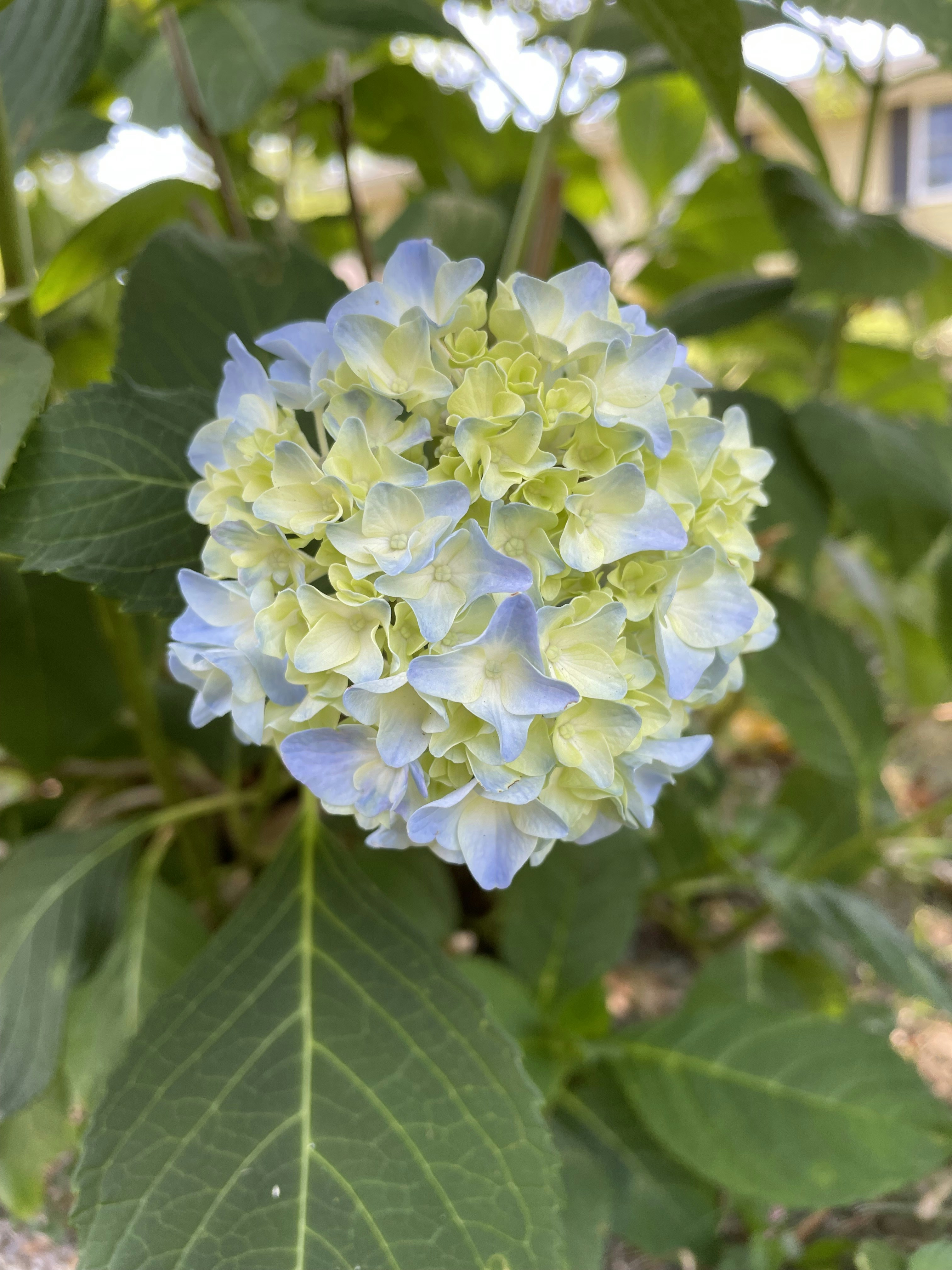 Photo by Anna with Apple iPhone 12