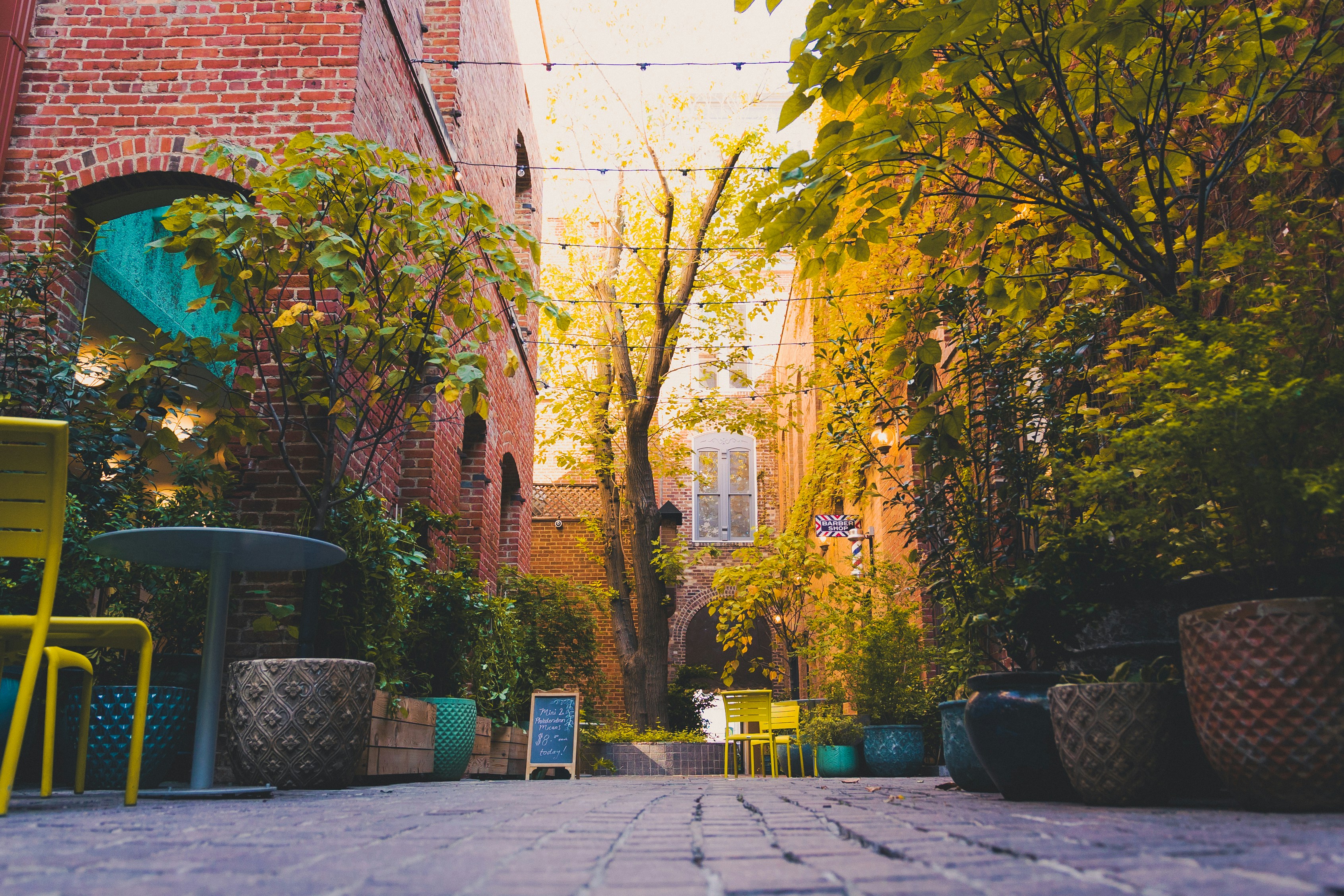 Secret Place Pictures | Download Free Images on Unsplash