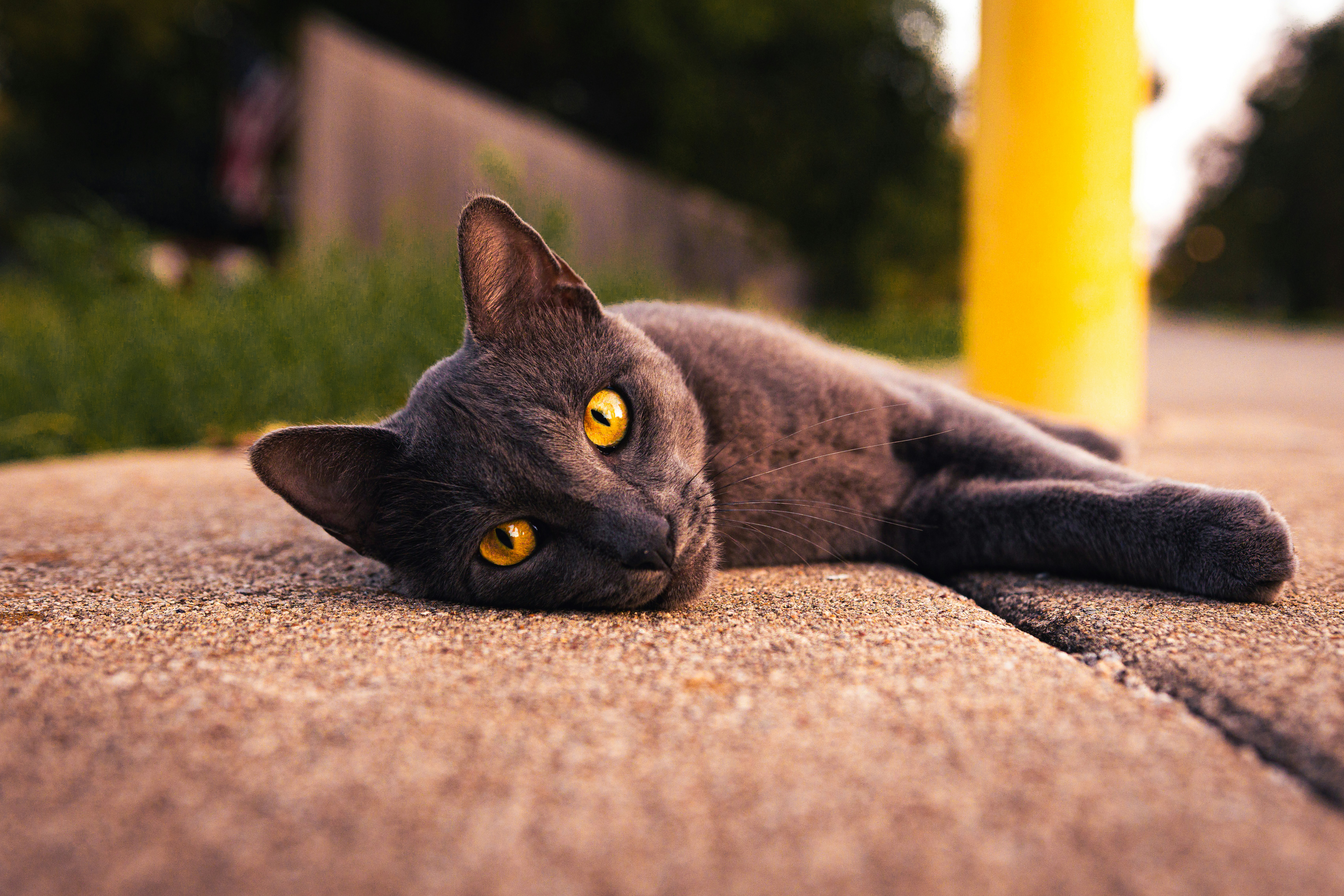 Photo by Matthew Ball with Canon EOS R6