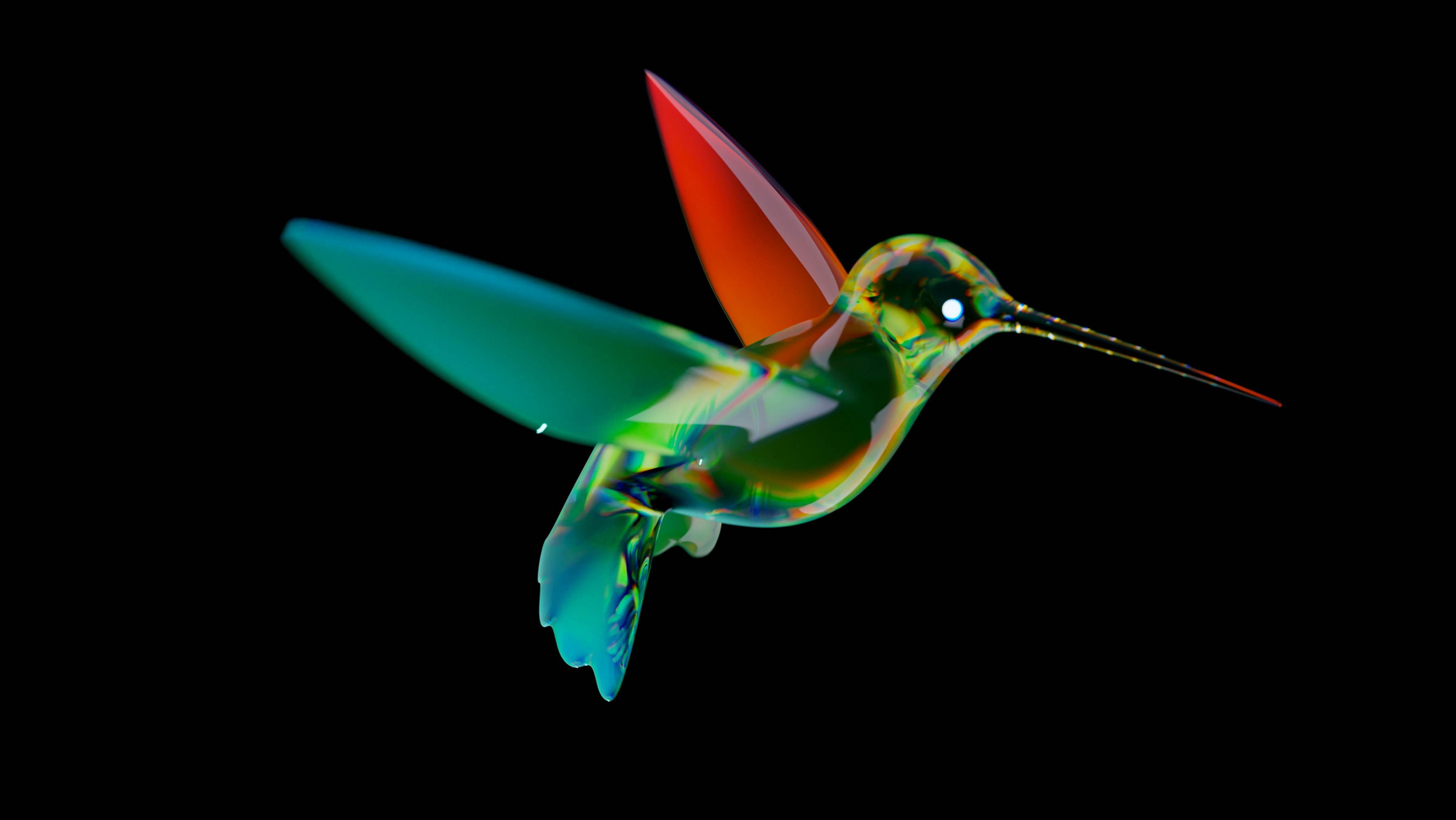 A colorful insect with wings photo – Free Bird Image on Unsplash