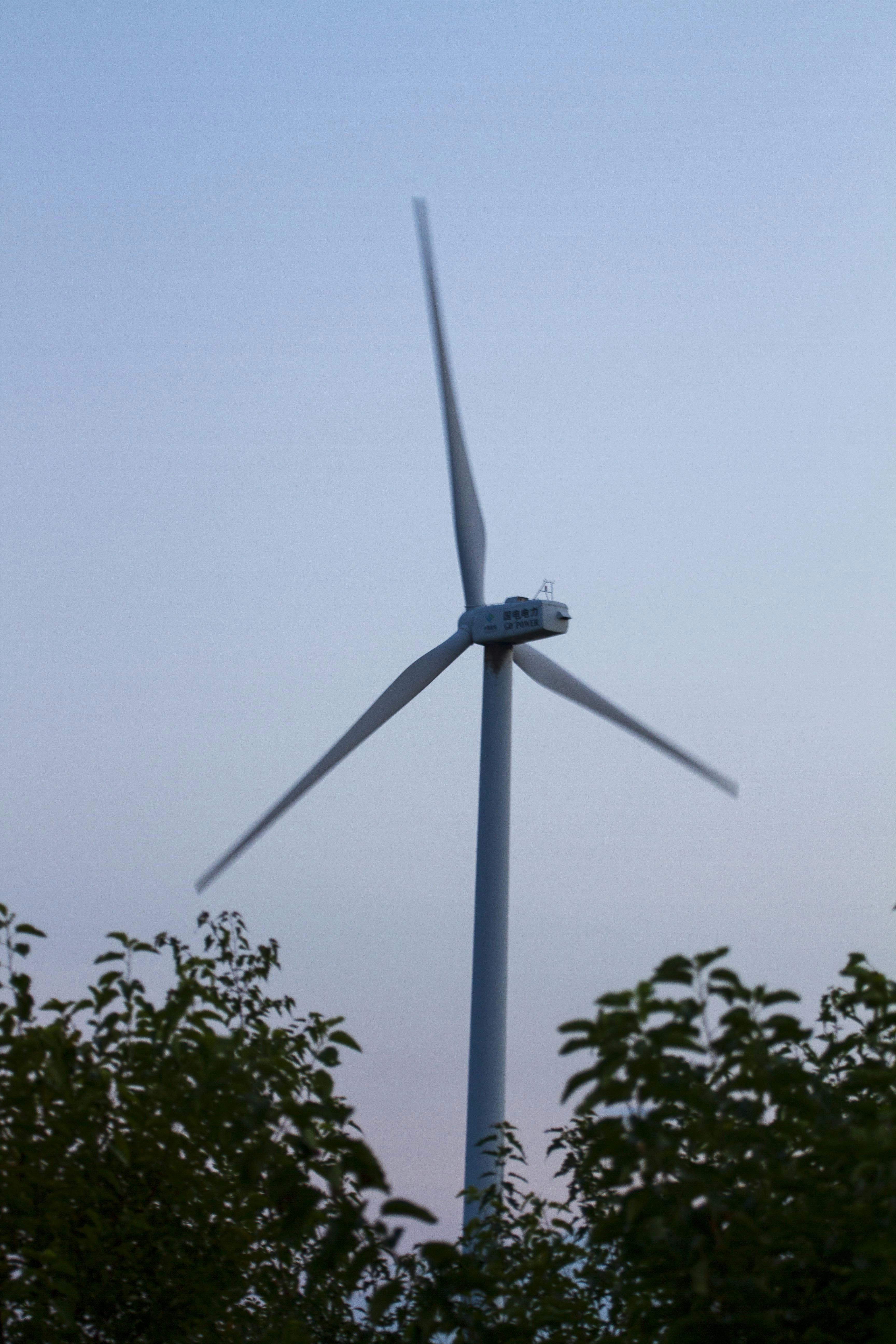 A towering wind turbine rises above lush greenery, silhouetted against a soft twilight sky. The scene embodies the fusion of nature and renewable energy.