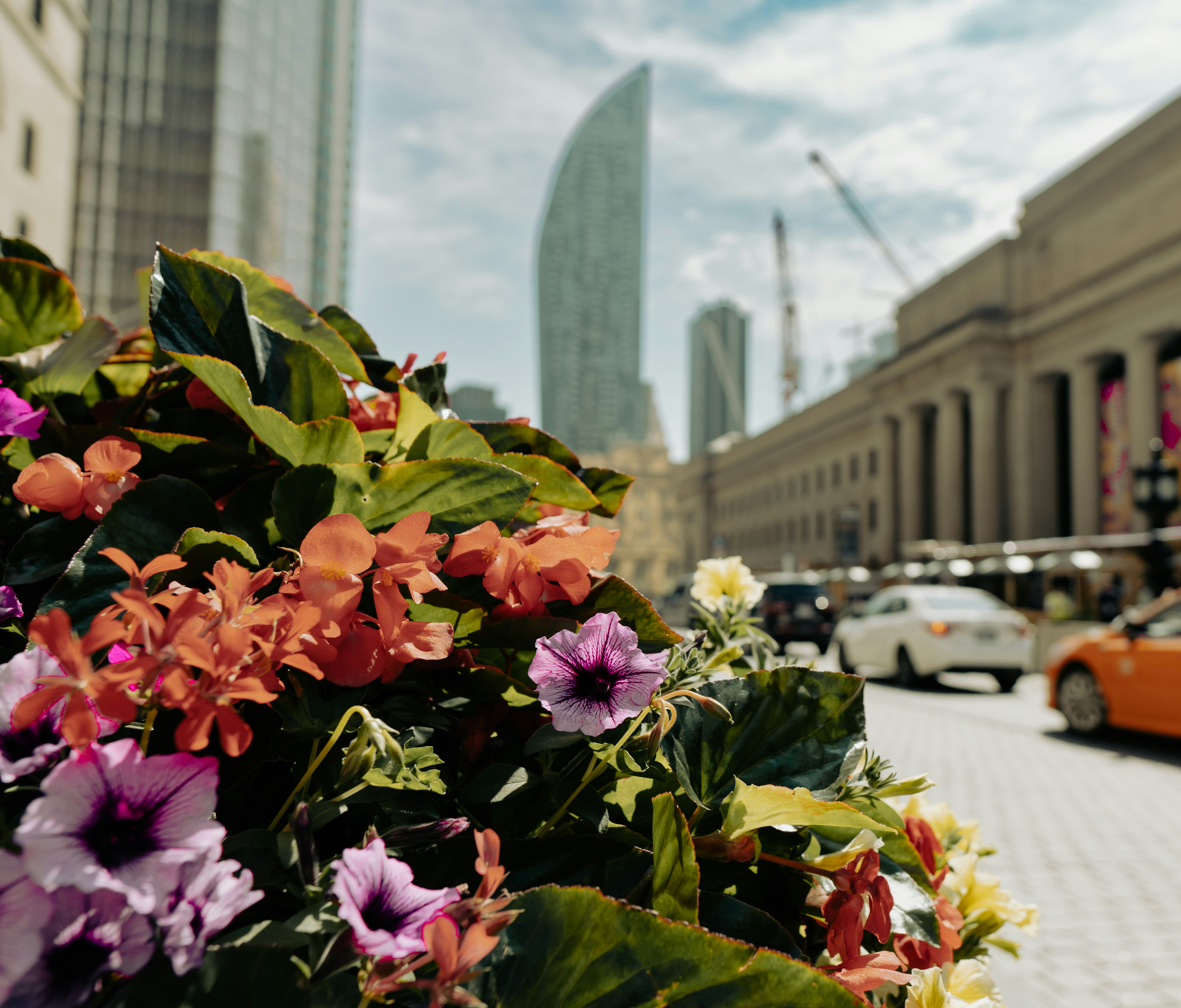 Photo by Ahnaf Piash with Sony Alpha 6100