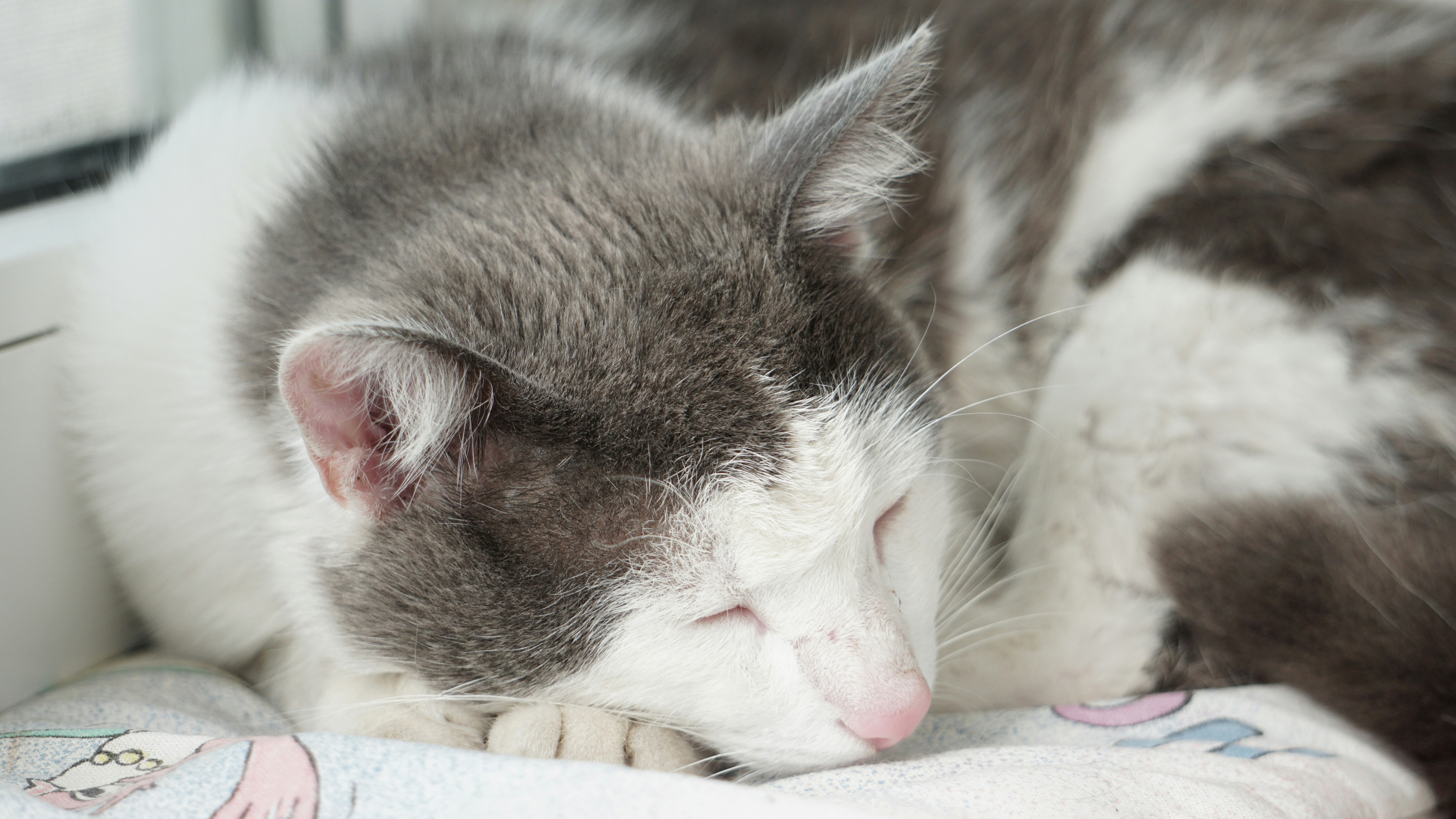 Photo by Dmytro Glazunov with Sony Alpha 6000