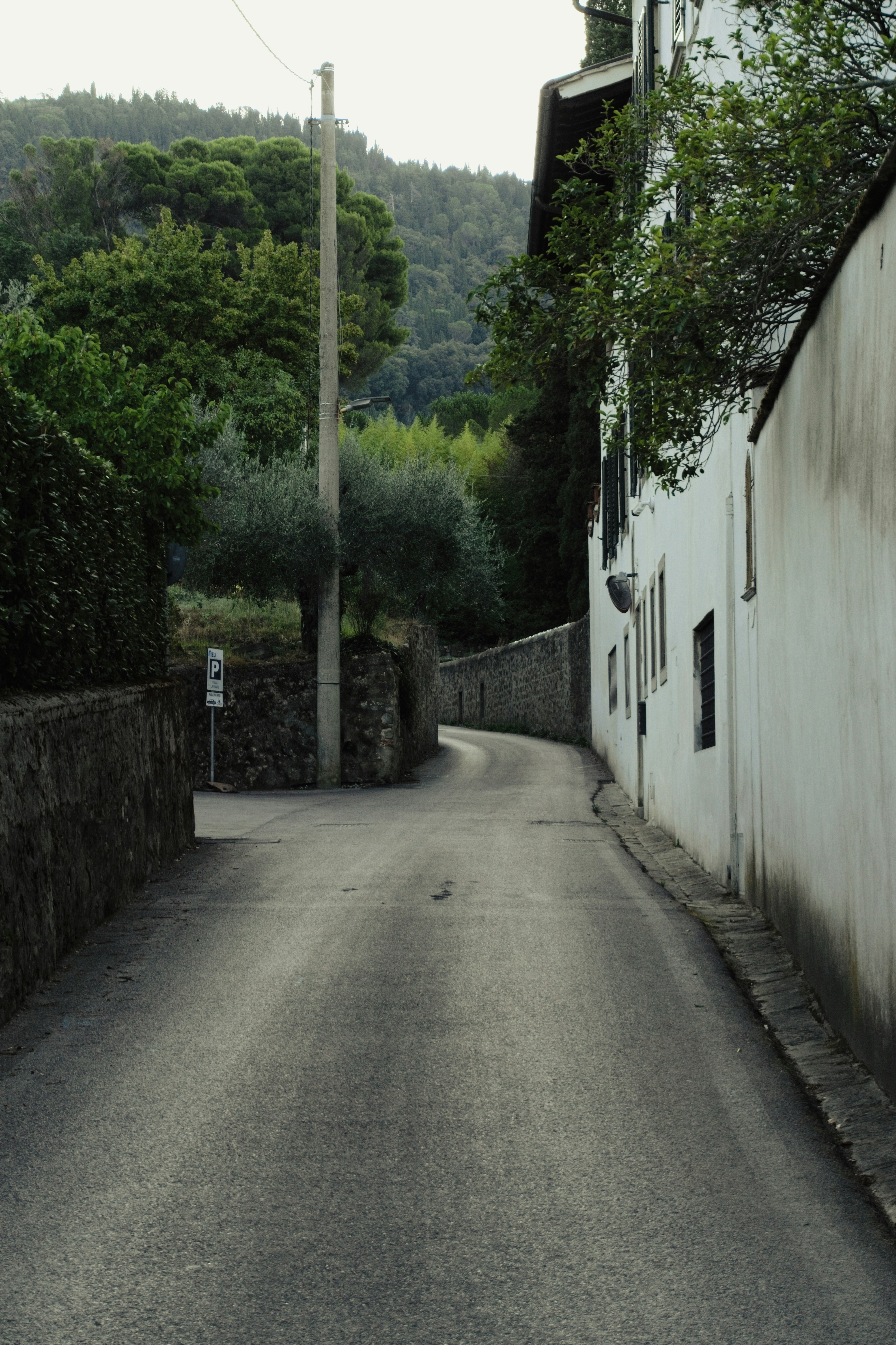 Photo by Arthur Hinton with Sony Alpha 6000