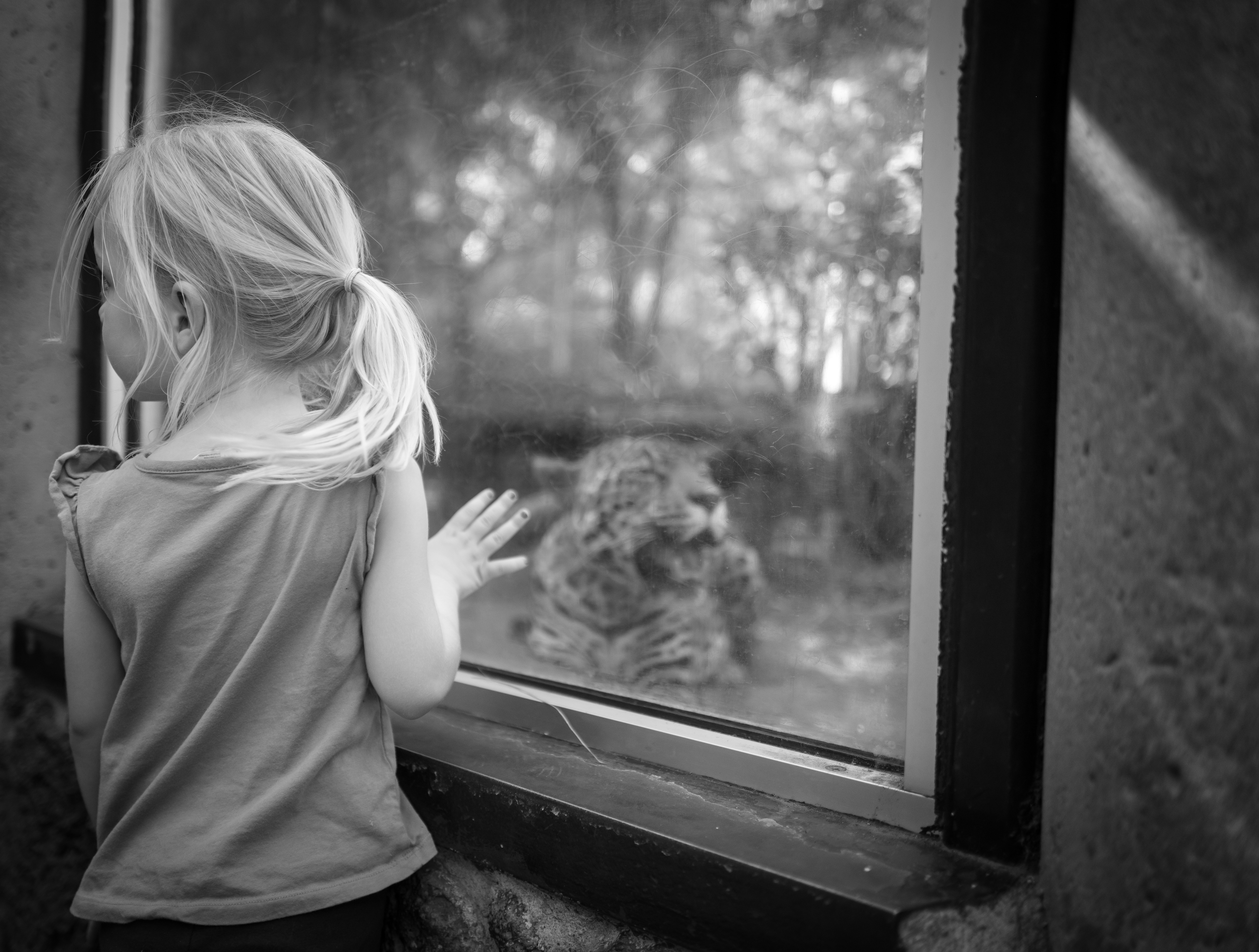 A black-and-white photograph of a young girl peering through a window at a cat outside, capturing a moment of quiet curiosity. The scene emphasizes textures and contrast in a candid domestic moment.