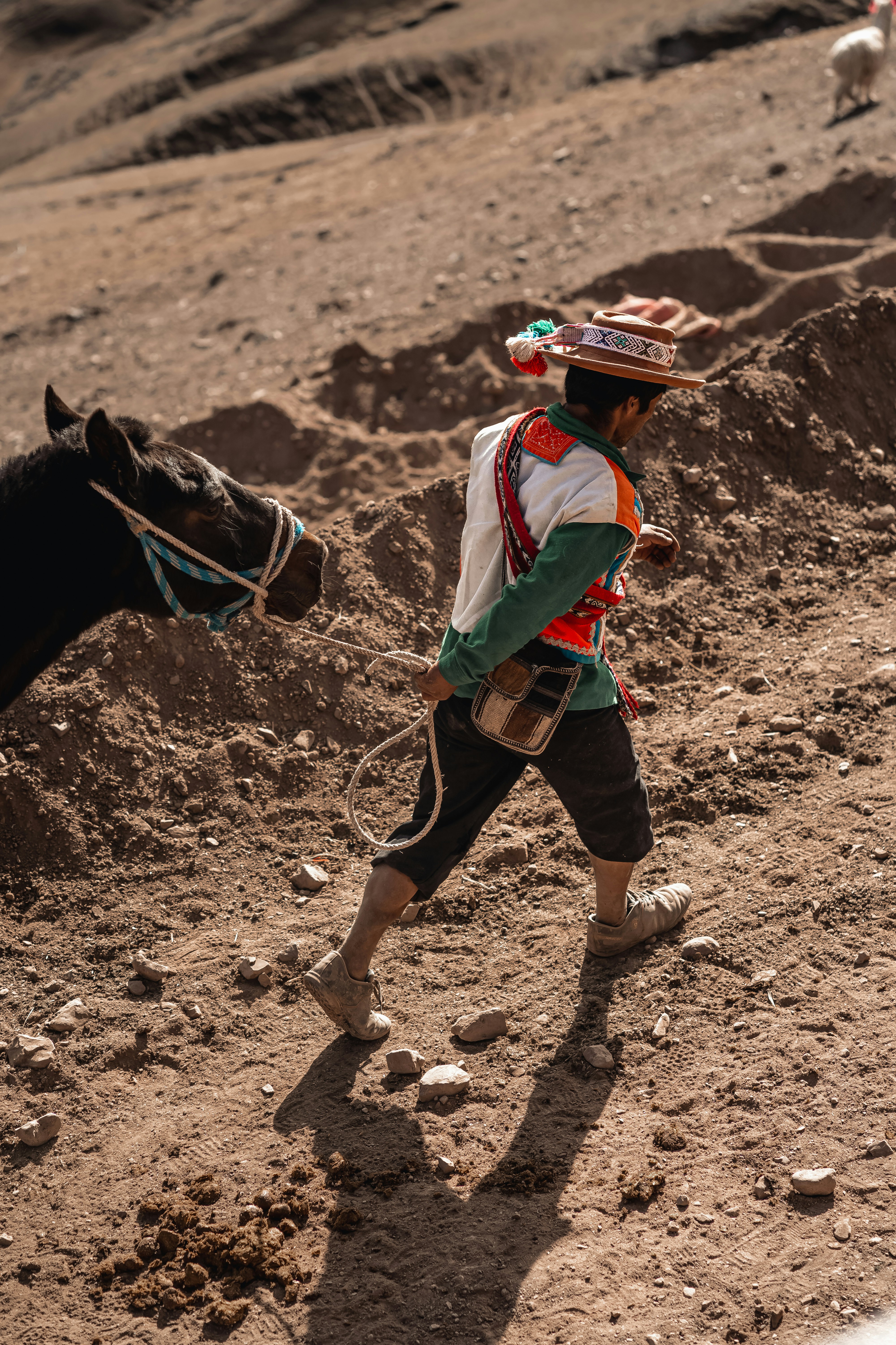 Dust and Color: A young herder guides a pony along a sunlit hillside