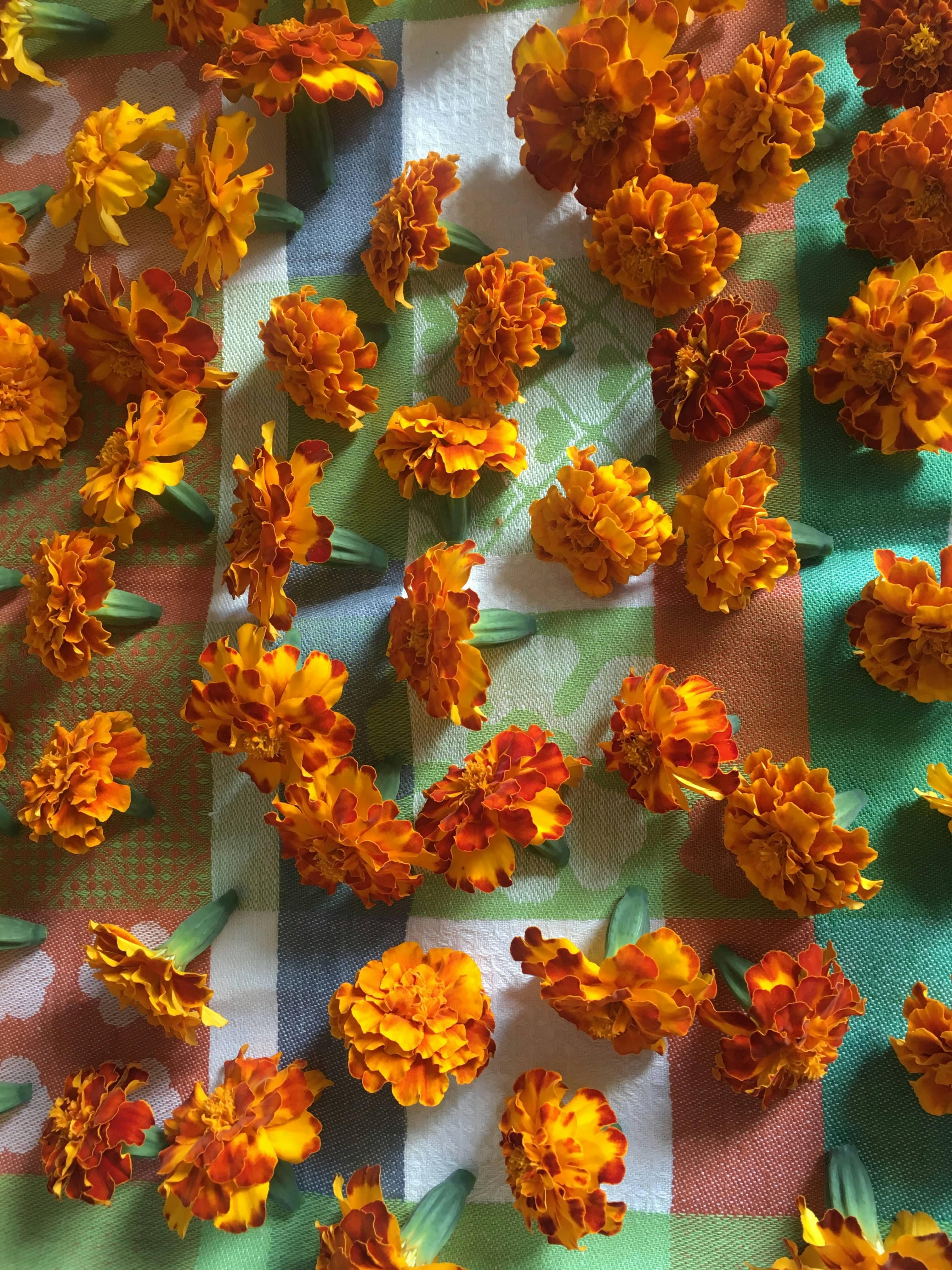 Amber Marigold Mosaic Across a Checkered Cloth