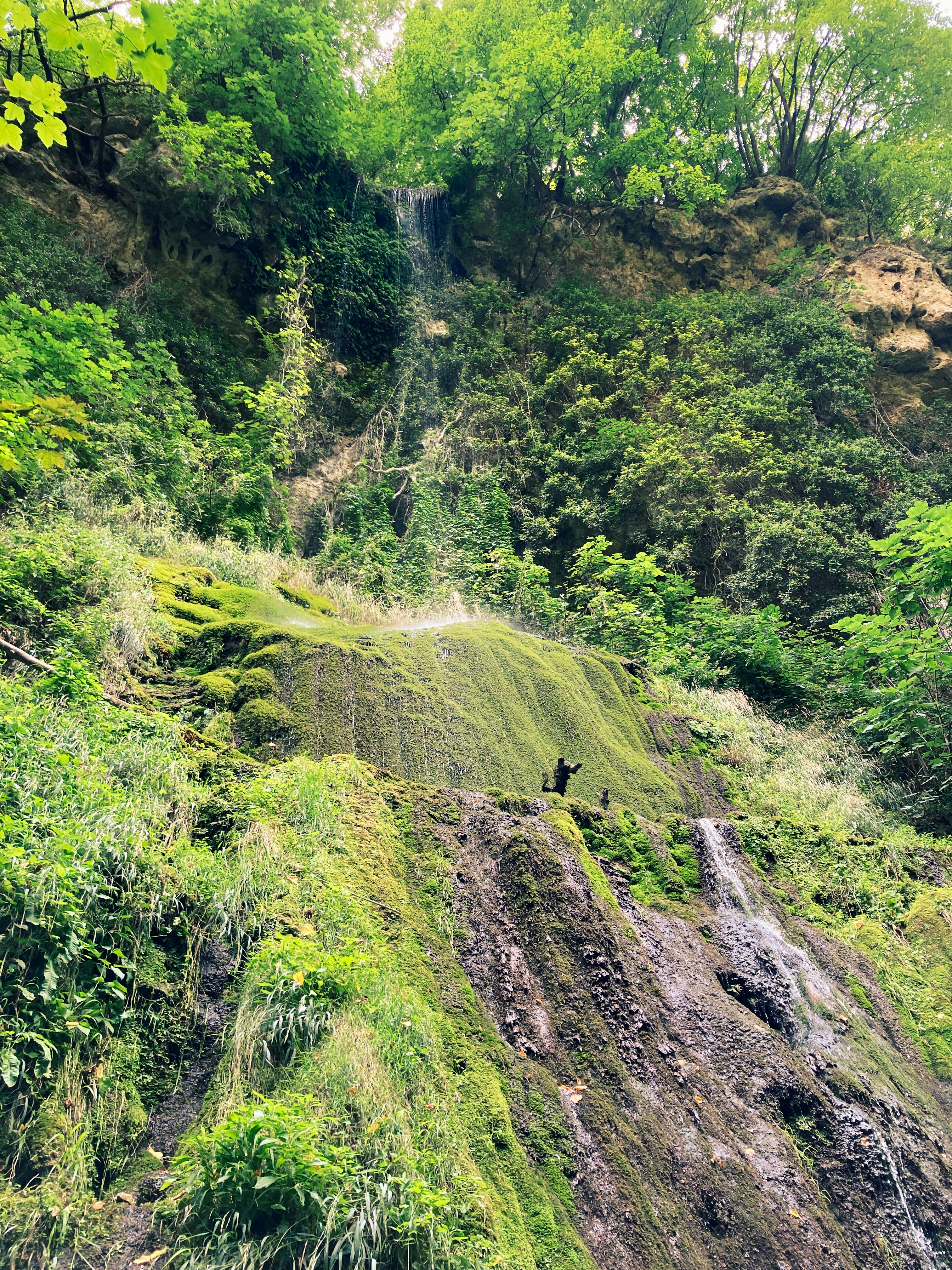 Verdant Cascade Over Mossy Cliff