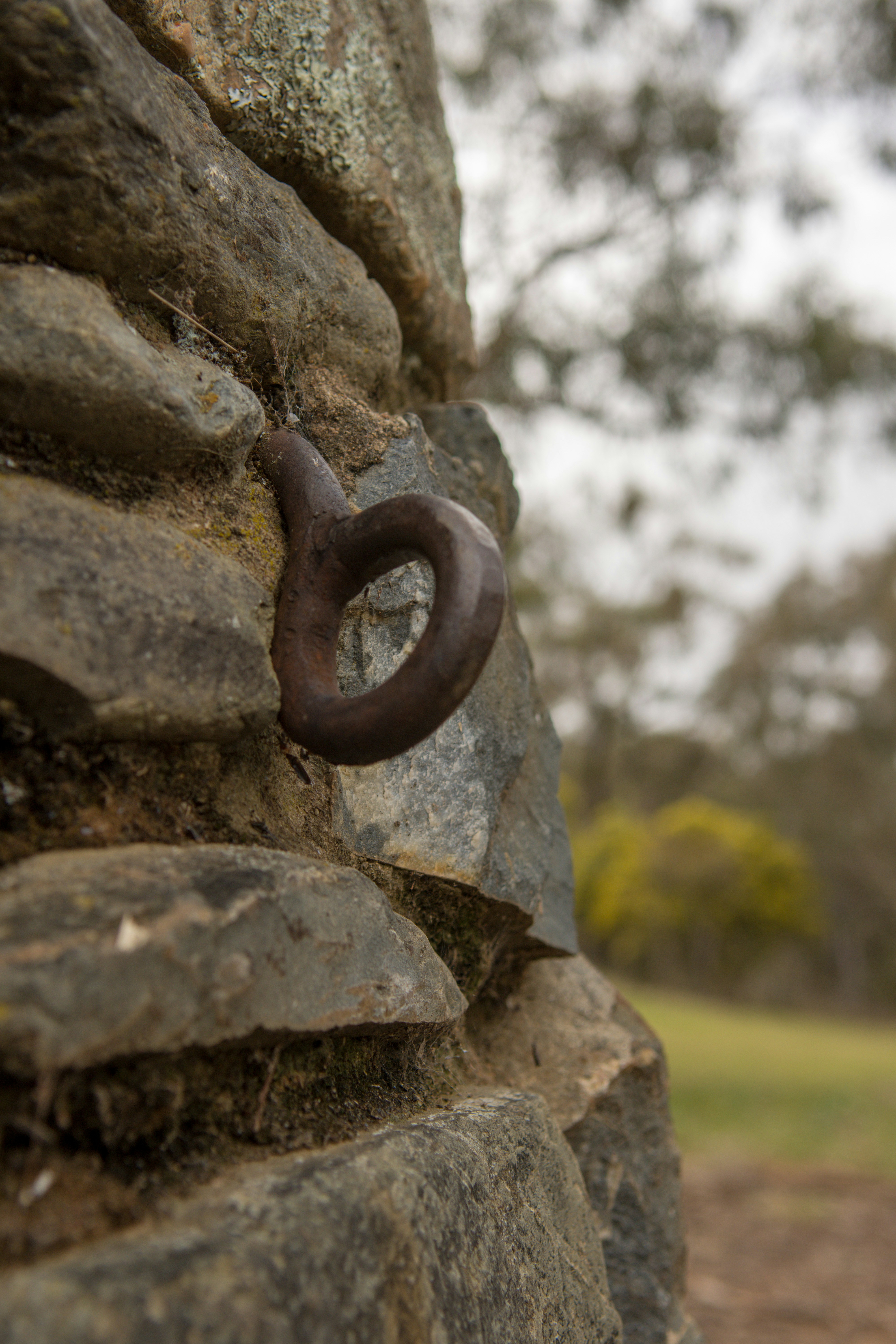 The Quiet Anchor: A Weathered Ring Nestled in a Stone Wall