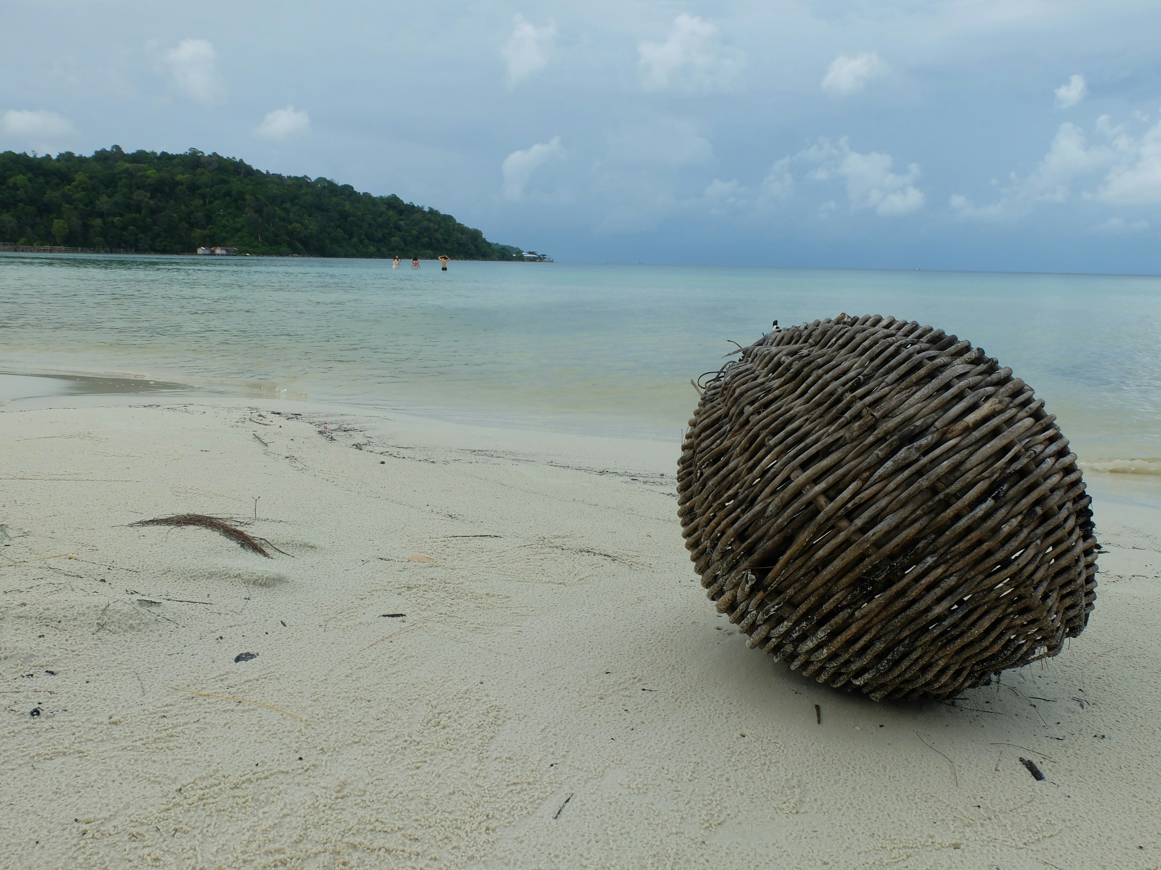 A shell on a beach photo – Free Cambodia Image on Unsplash