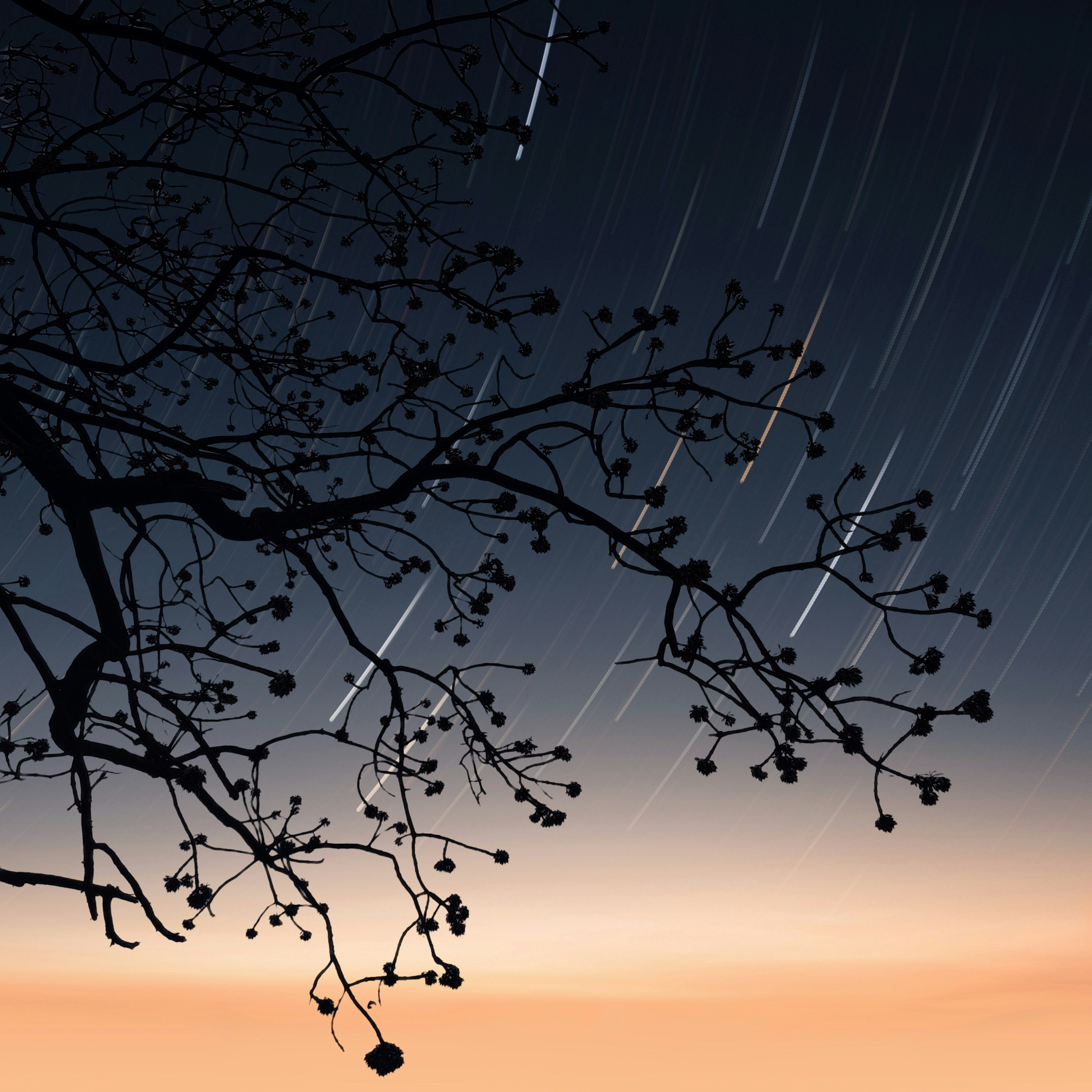 Ishh Kr (@manishkr) | Komunitas Foto Unsplash