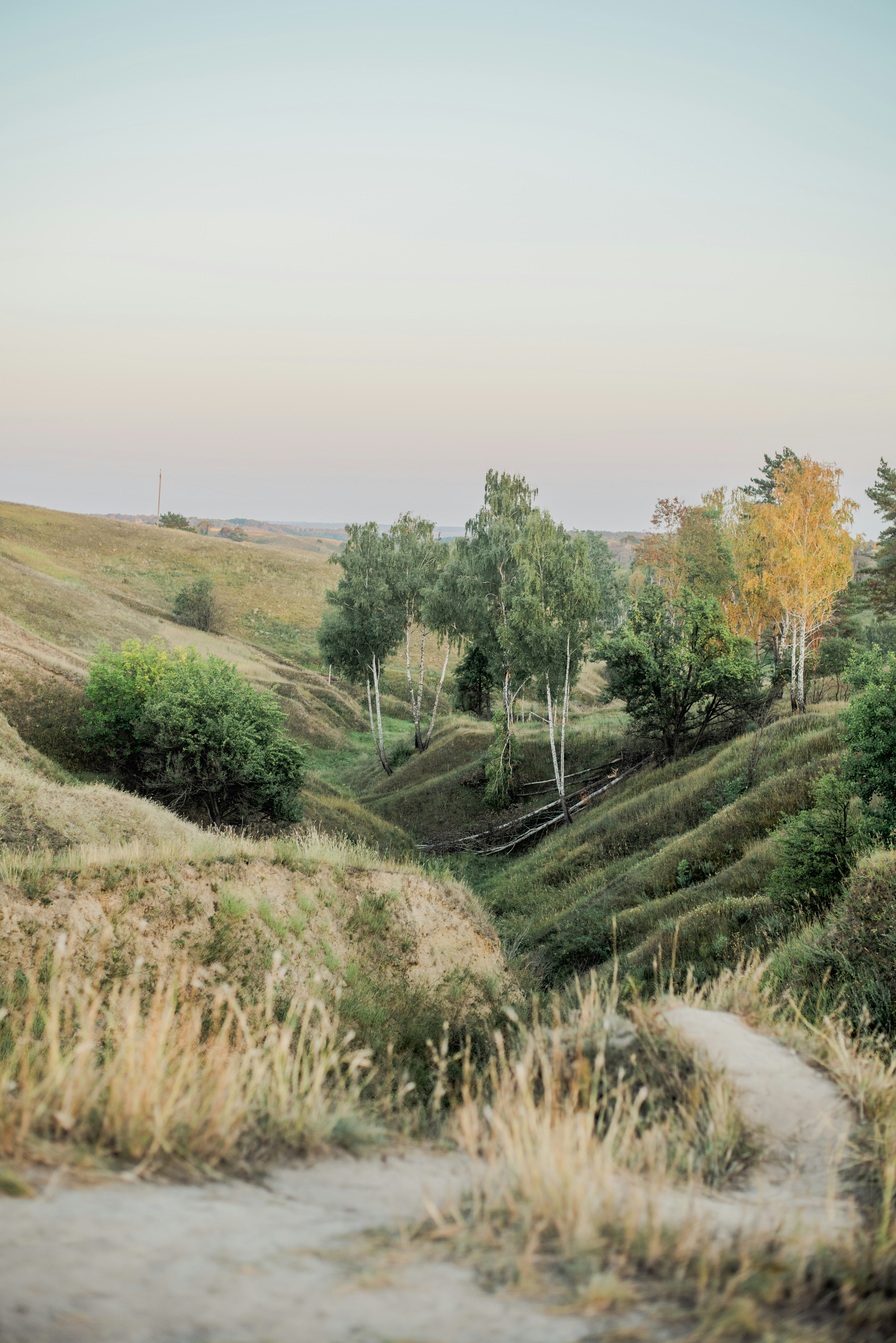 A landscape with trees and grass photo – Free Ukraine Image on Unsplash