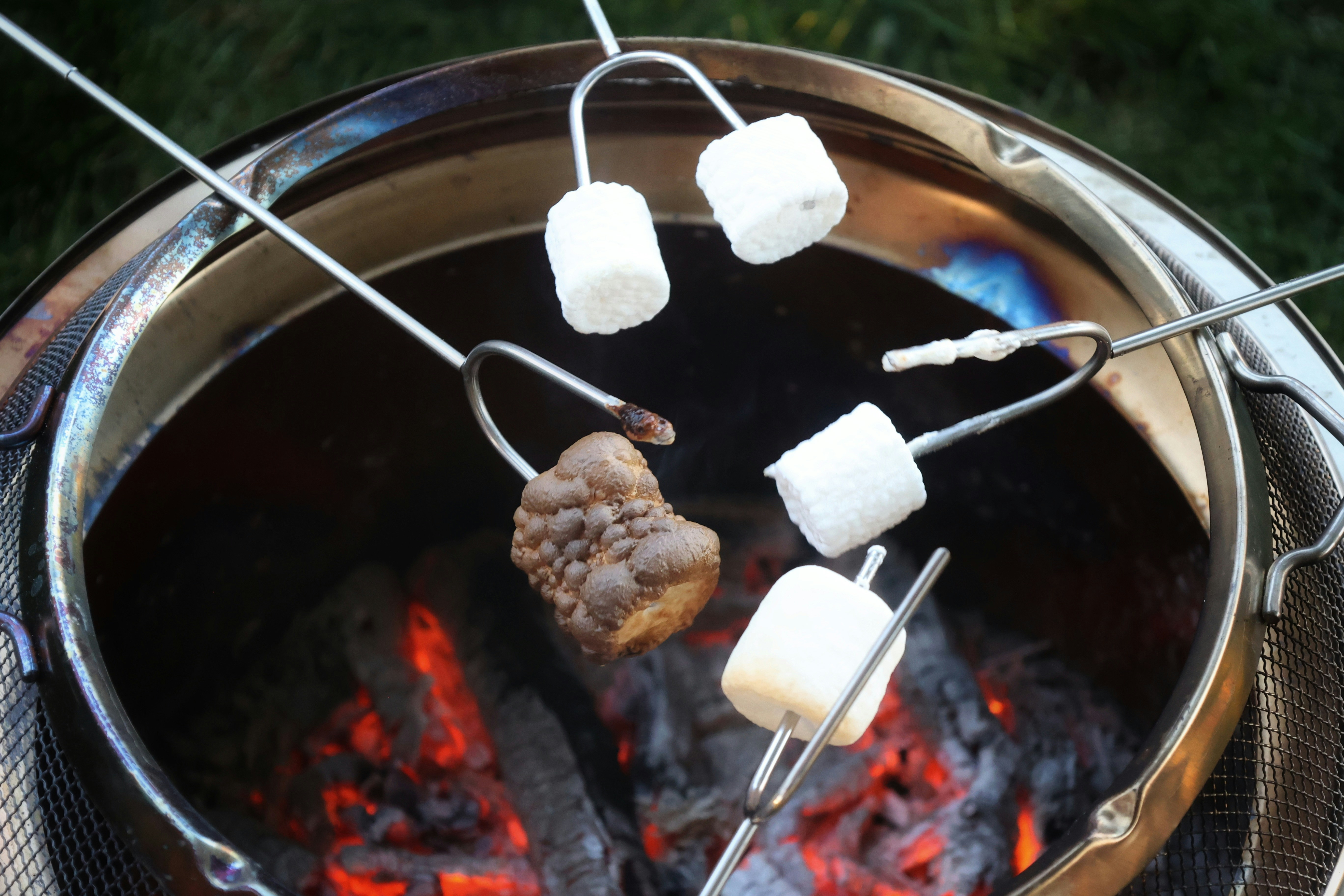 Ember Roast: Skewers, Marshmallows, and a Heart-Shaped Treat Over Open Coals