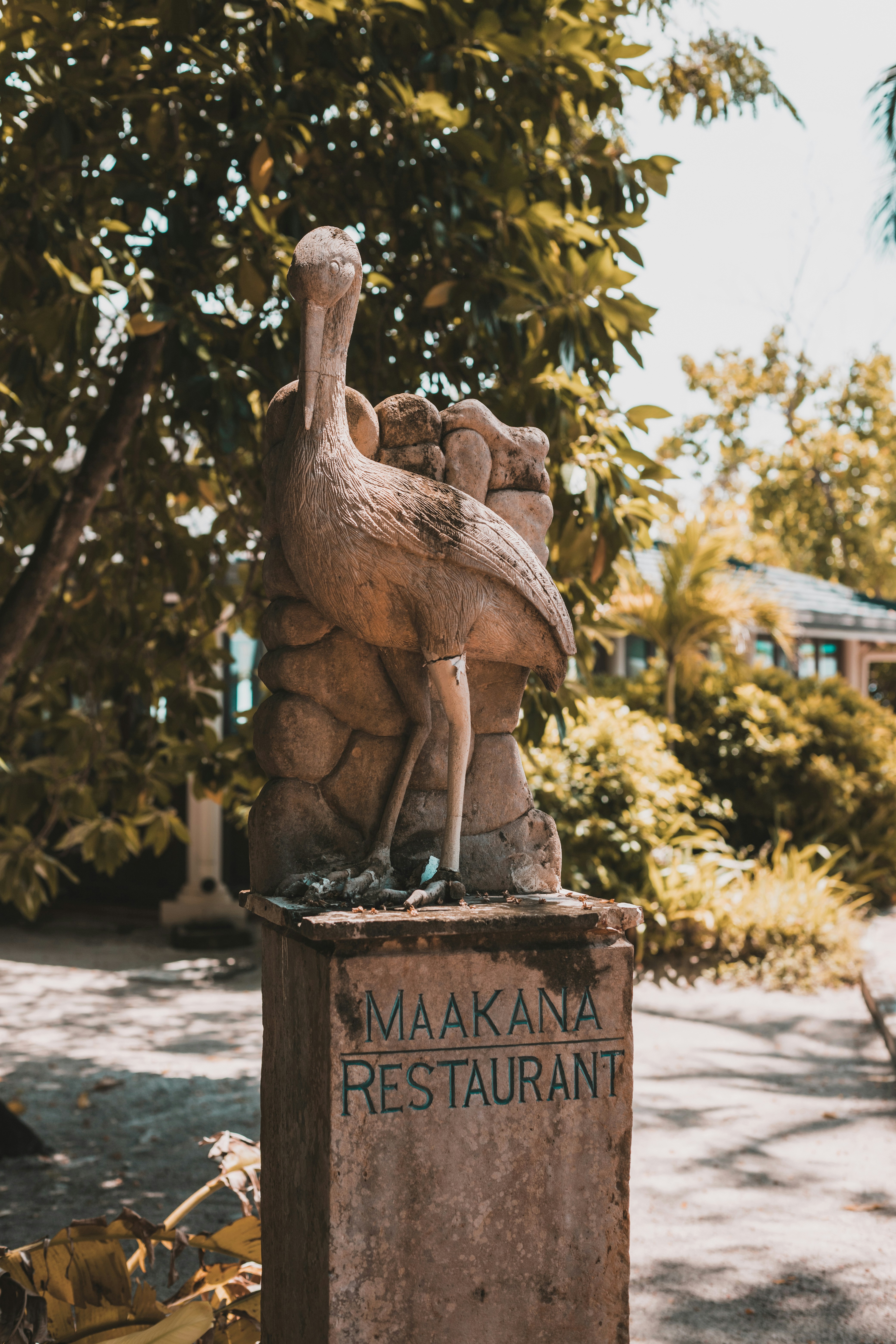 Stone Sentinel Over Maakana: A Bird Statue in Sunlit Garden