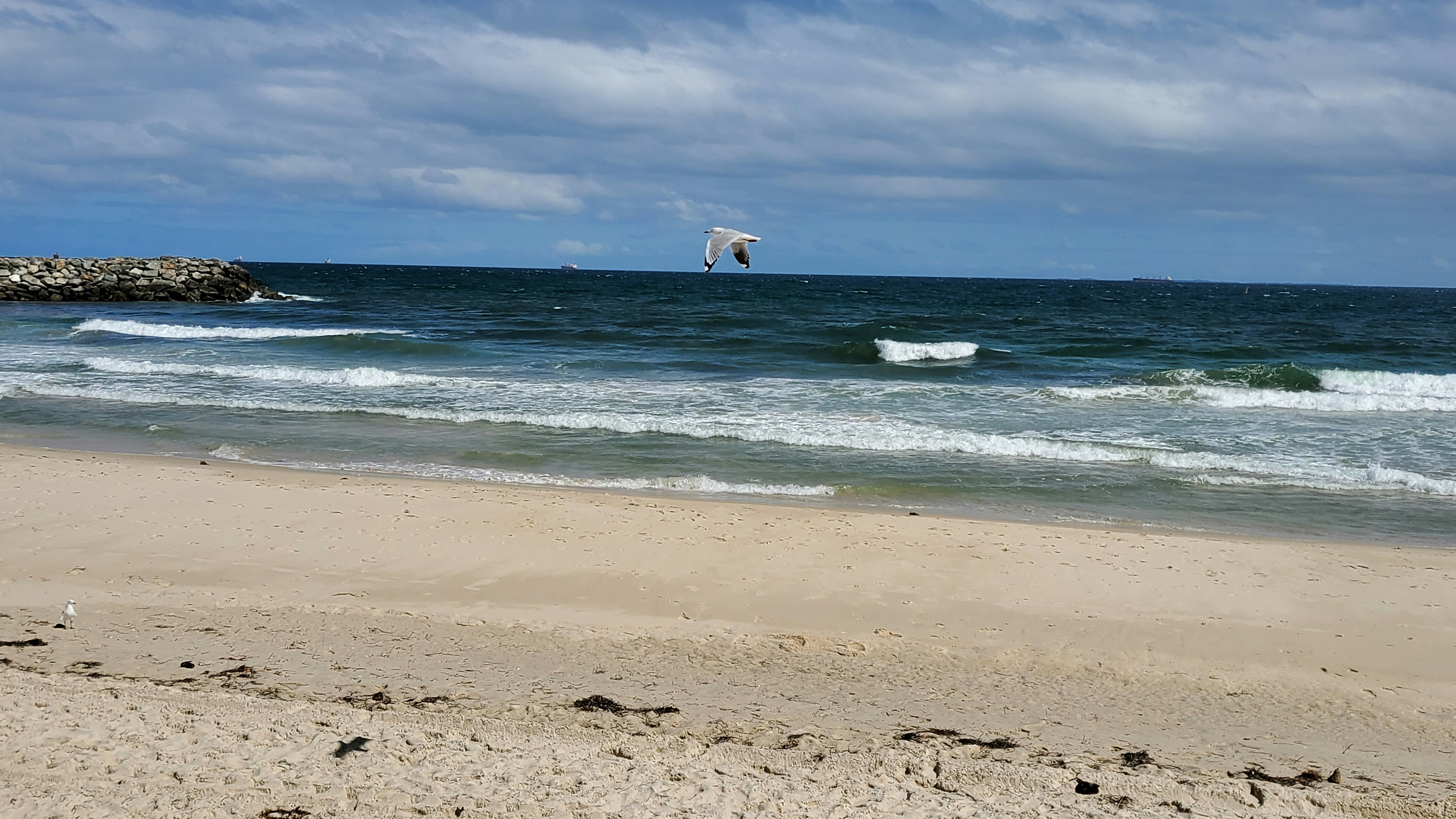 Sample photo from Samsung Galaxy Z Flip