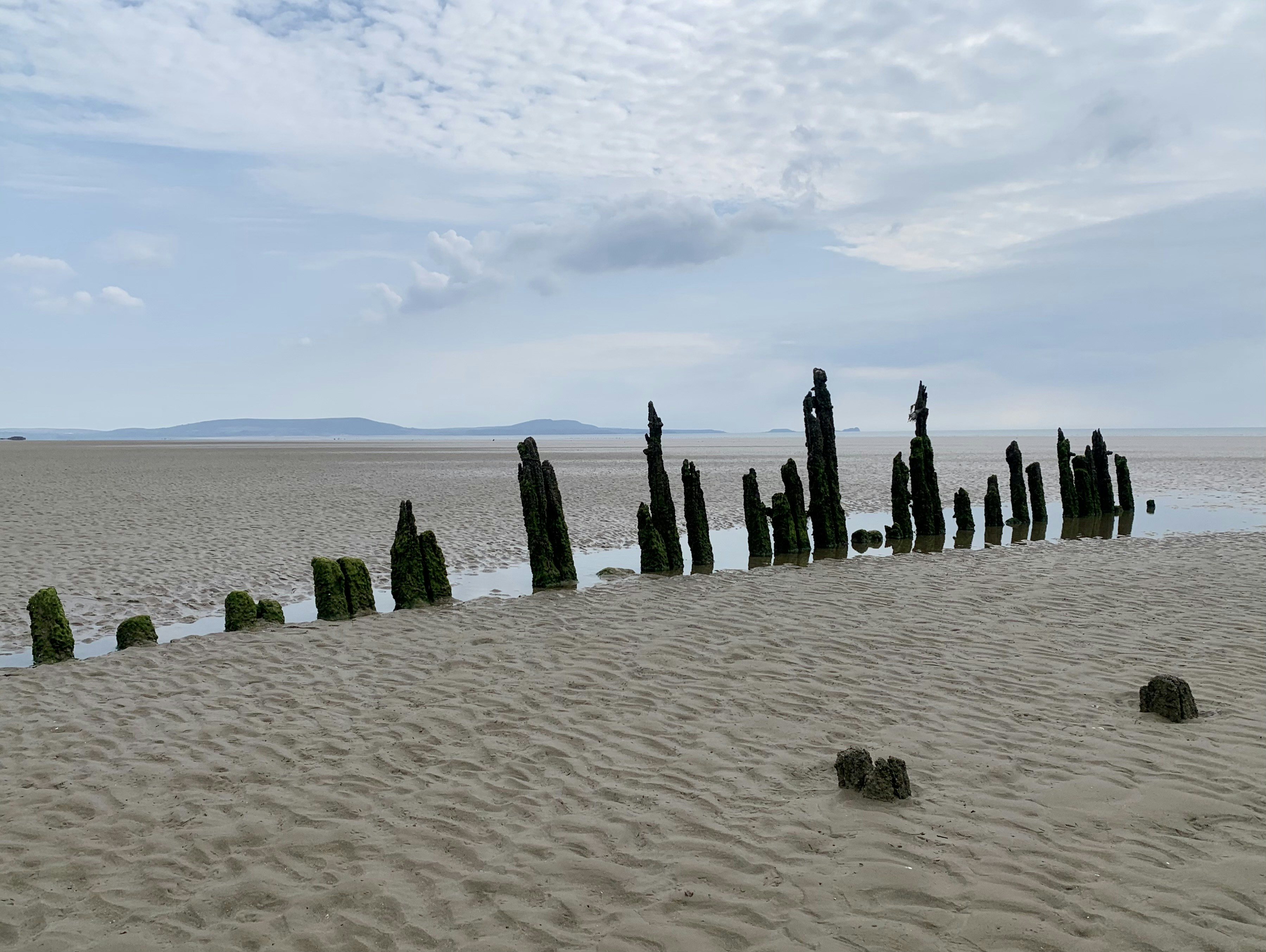 Weathered Pilings, Quiet Horizon: A Beach Study in Leading Lines