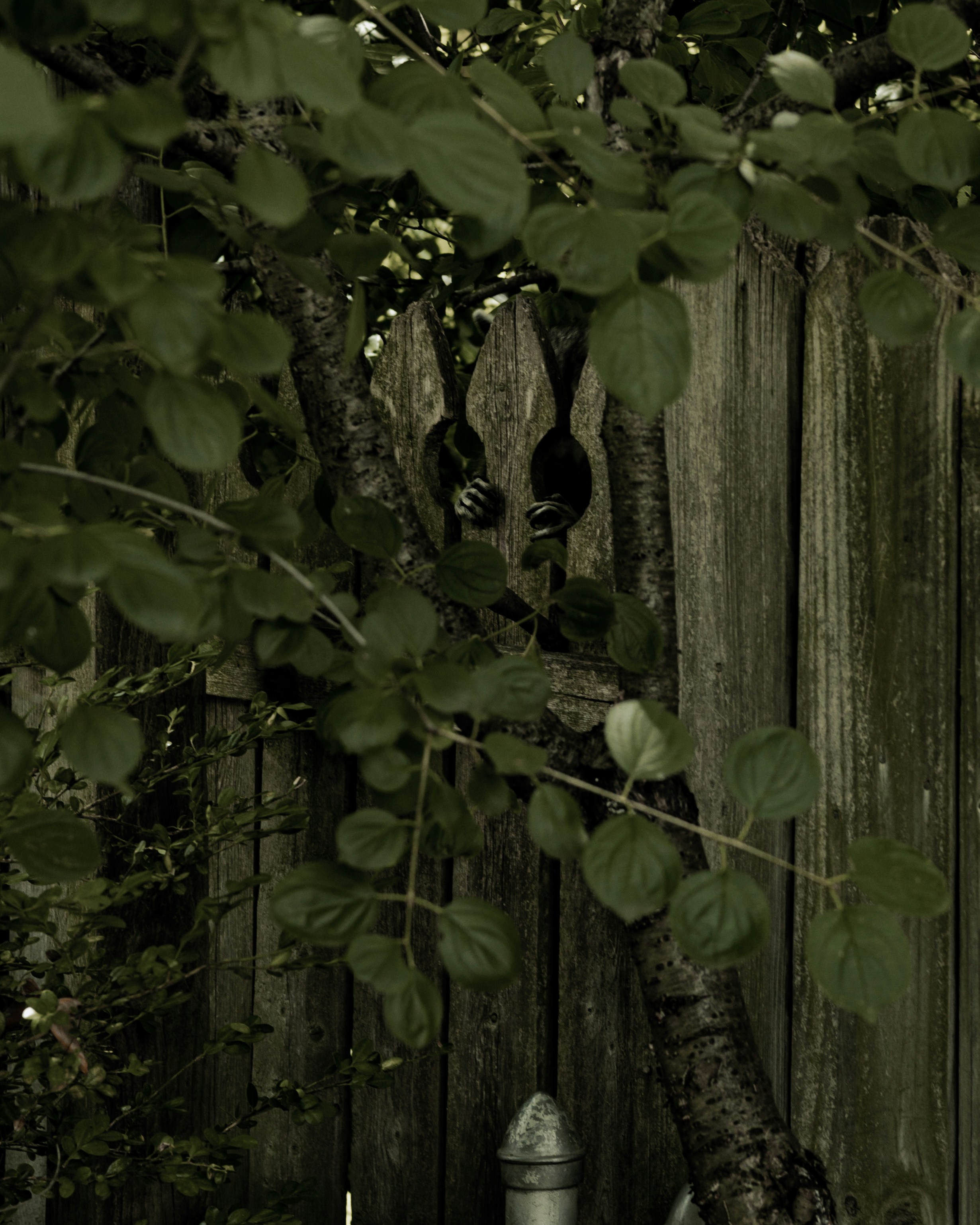 A bird on a tree photo – Free Flint Image on Unsplash