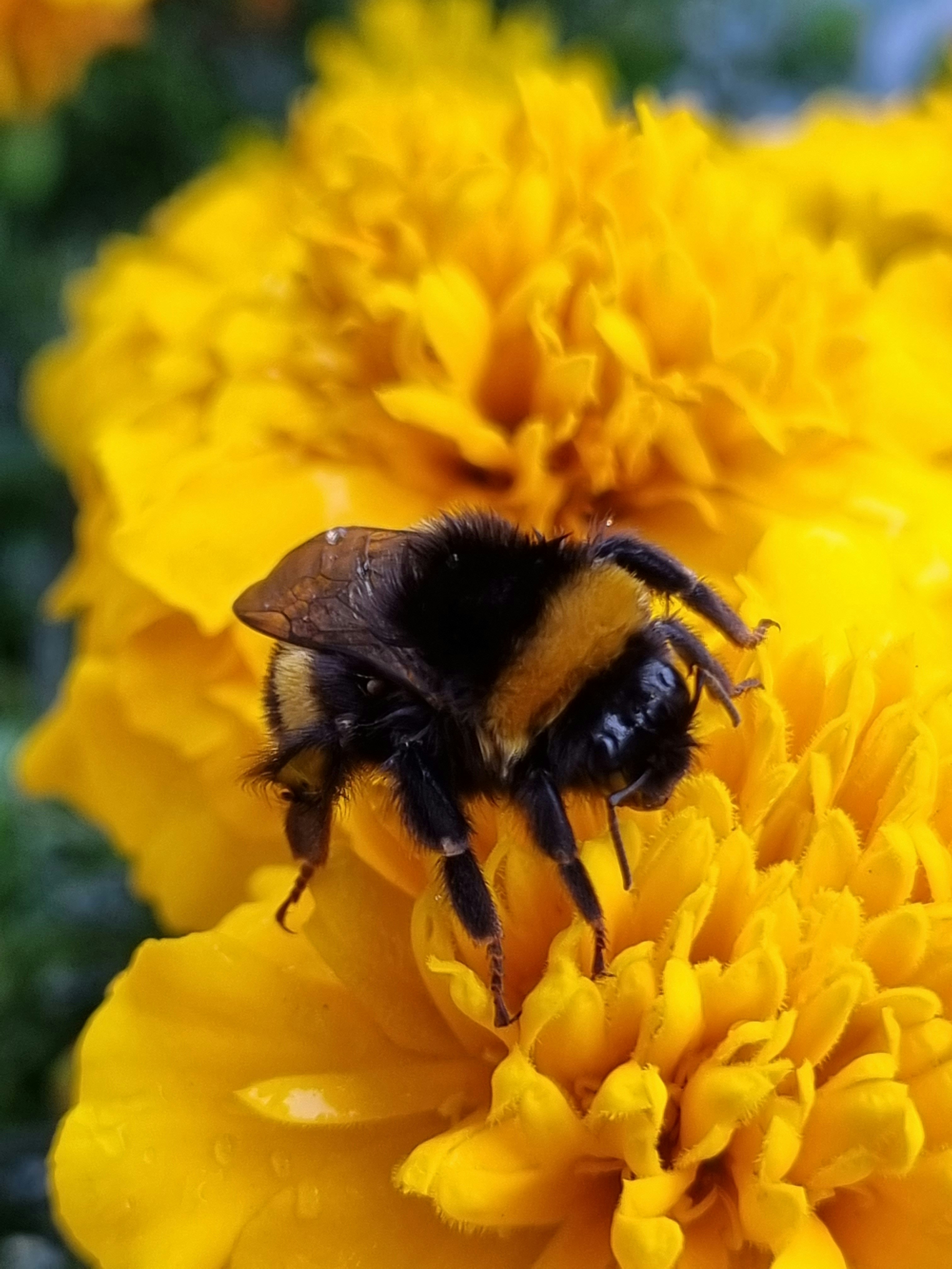 Sample photo from Samsung Galaxy S21