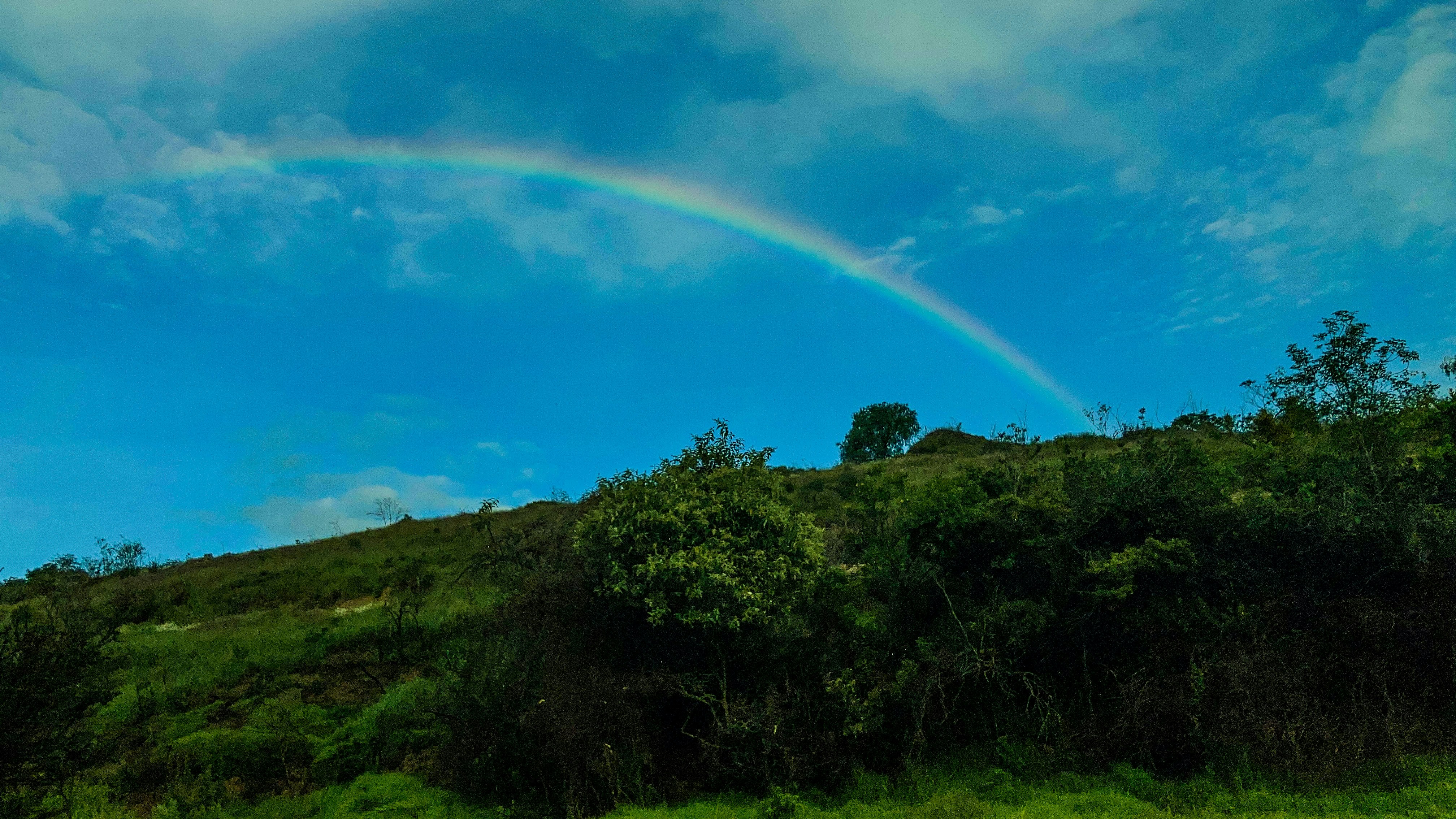 Vibrant rainbow arches over a lush green hillside beneath a bright blue sky.