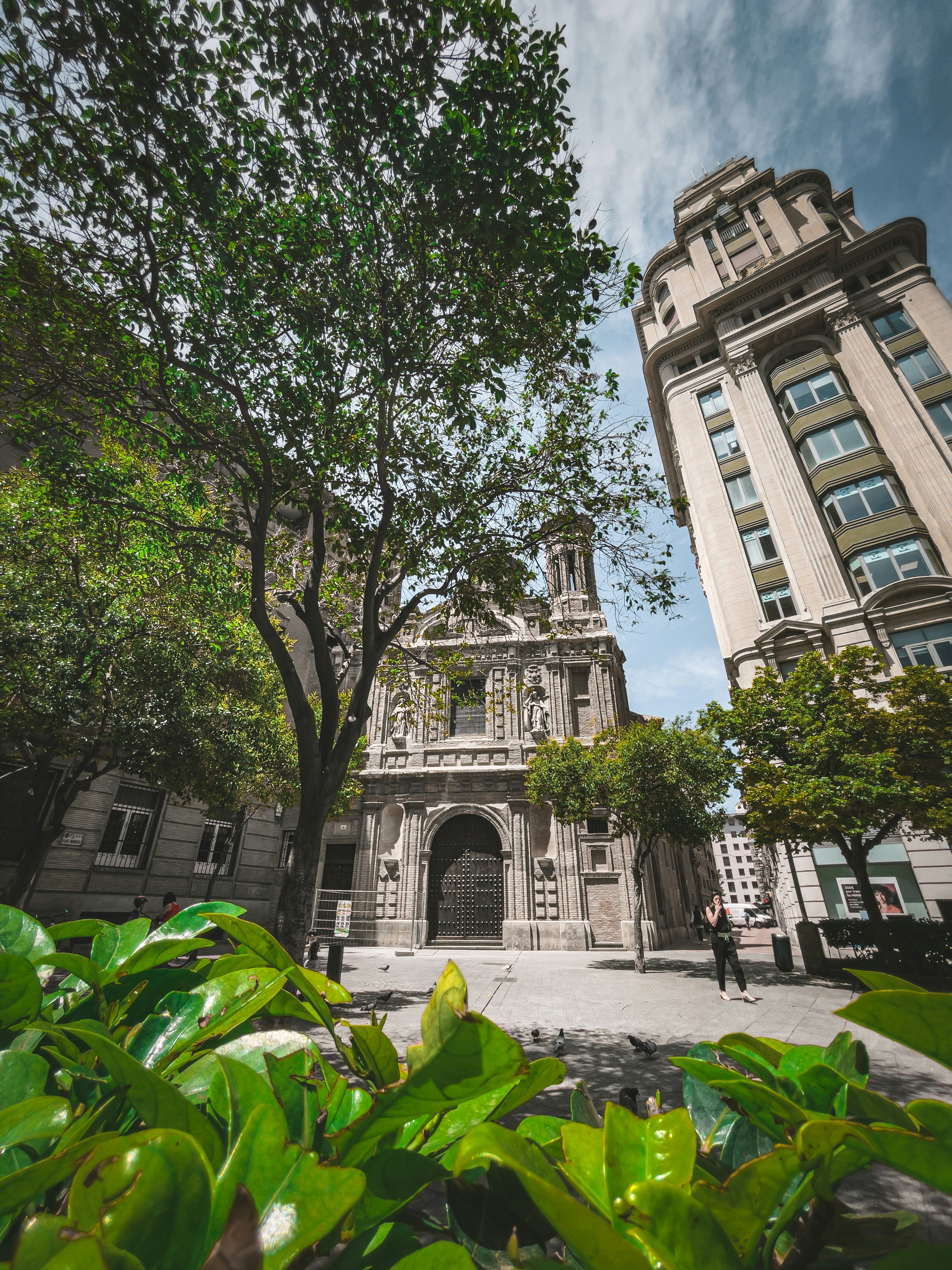 A building with trees and plants in front of it photo – Free Zaragoza ...