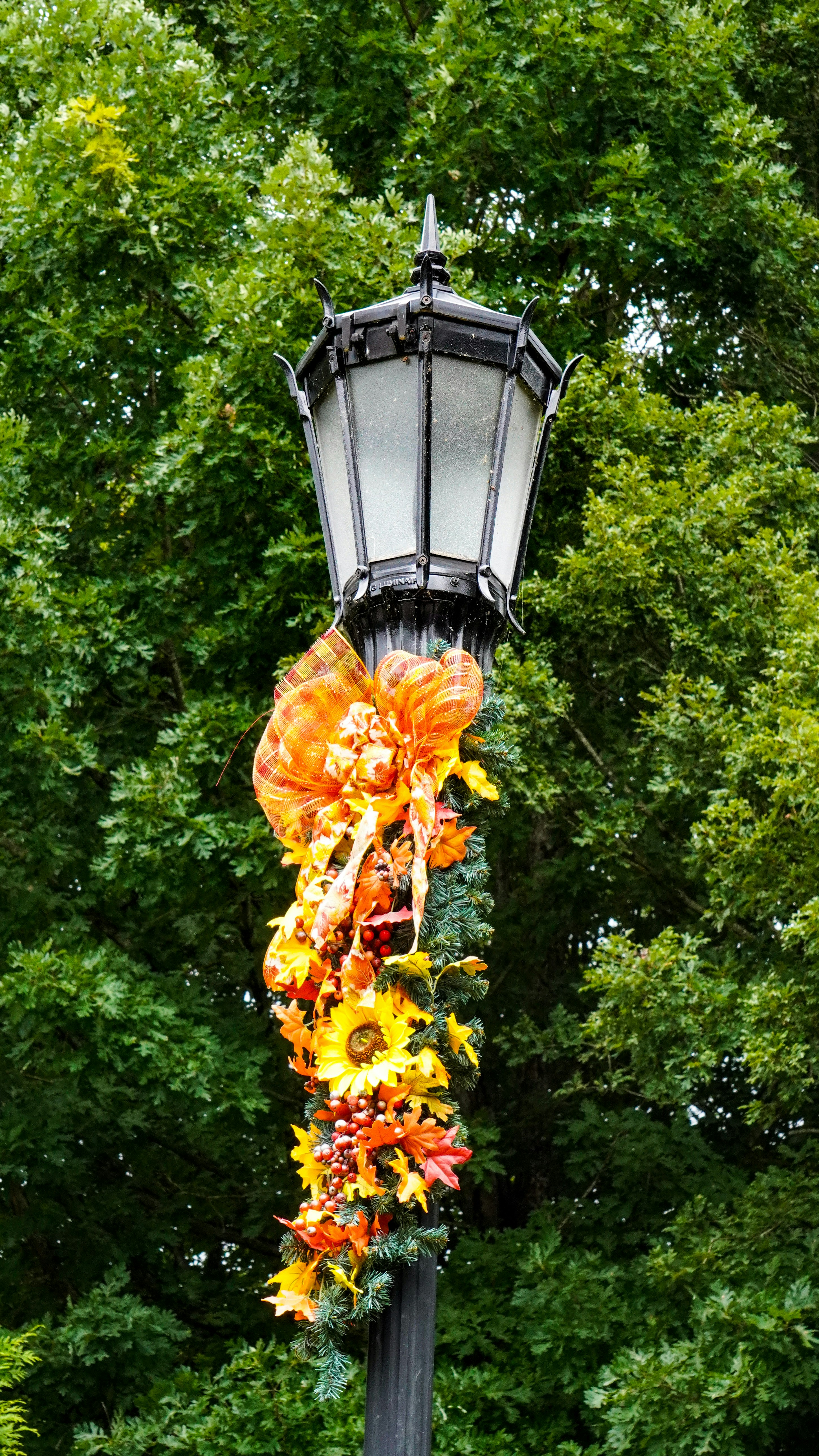 Harvest-Gilded Lantern: Autumn Florals Embrace a Streetlamp