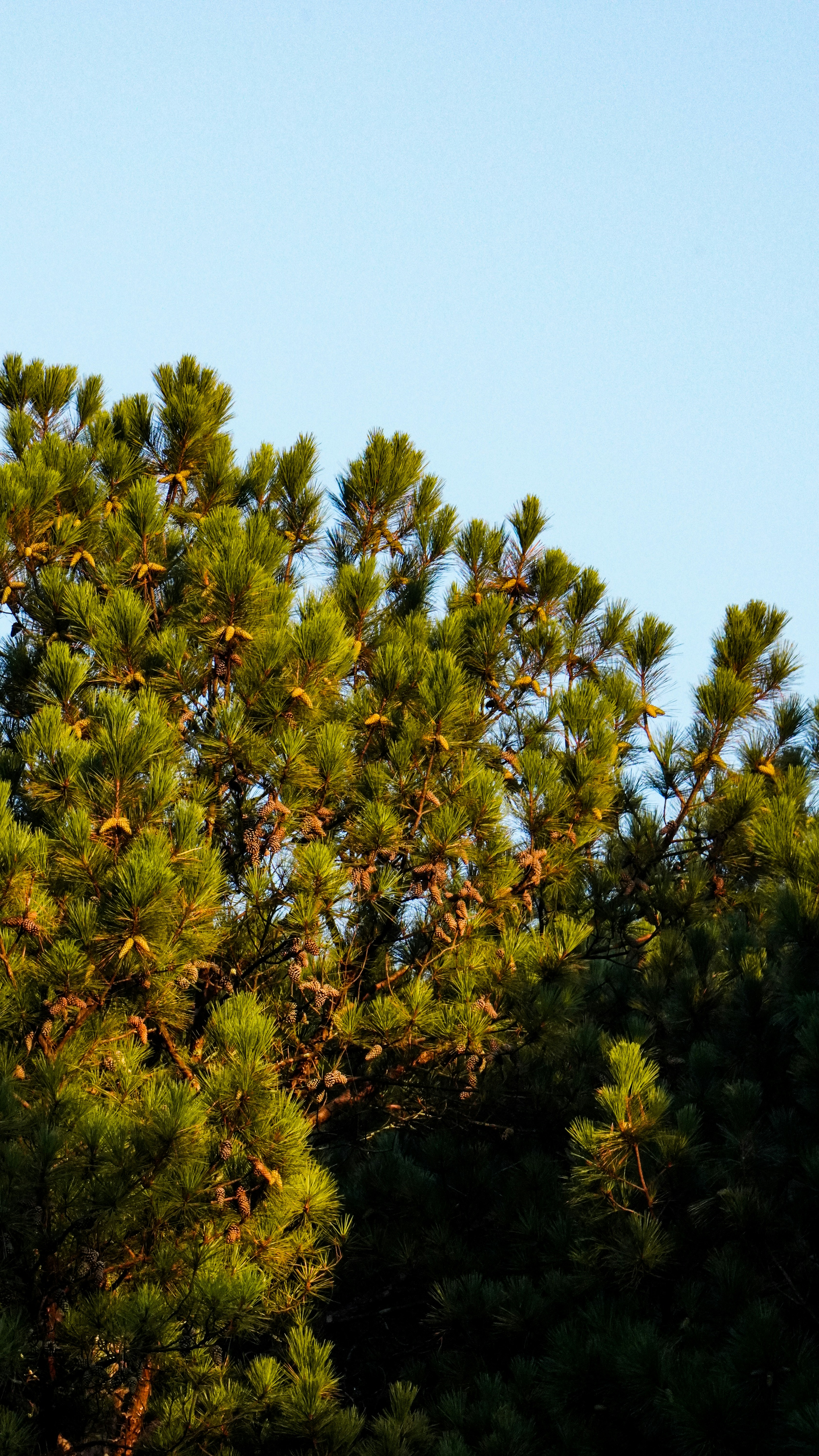 Photo by Koushalya Karthikeyan with Sony Alpha 6100