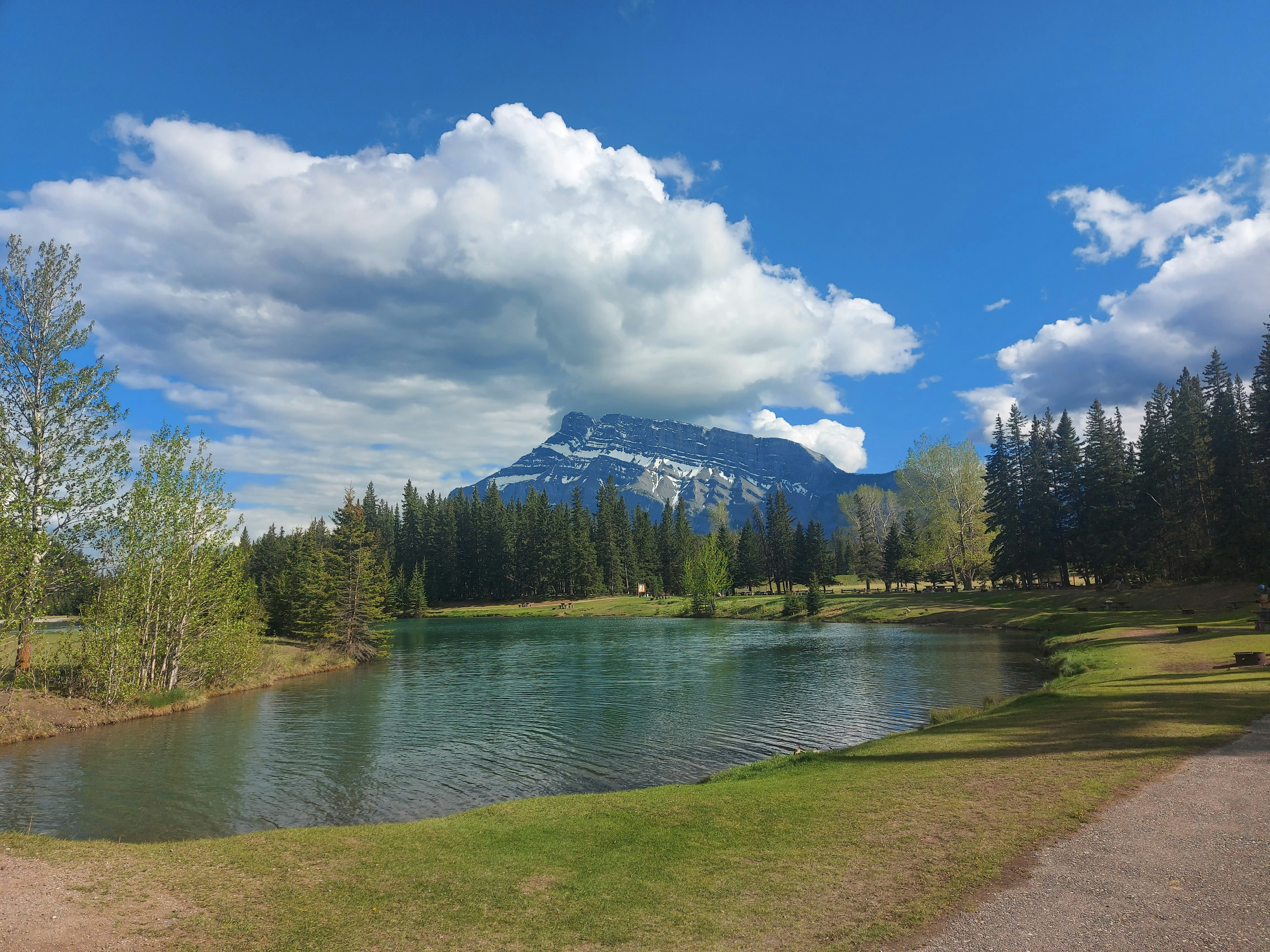 Un lac avec des arbres et une montagne en arrière-plan photo – Photo ...