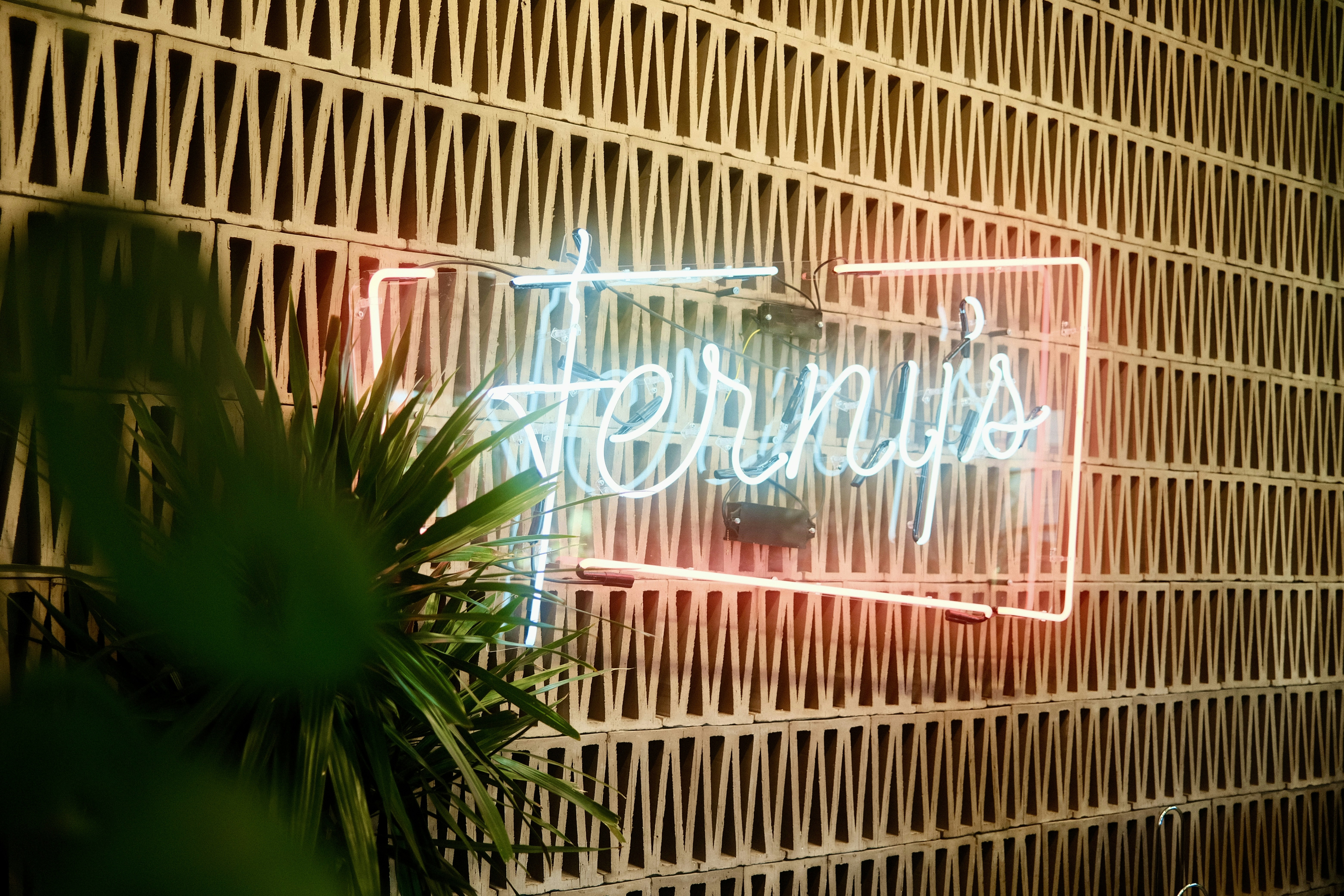Neon Ribbons on a Diamond Grid Wall, Framed by Quiet Foliage