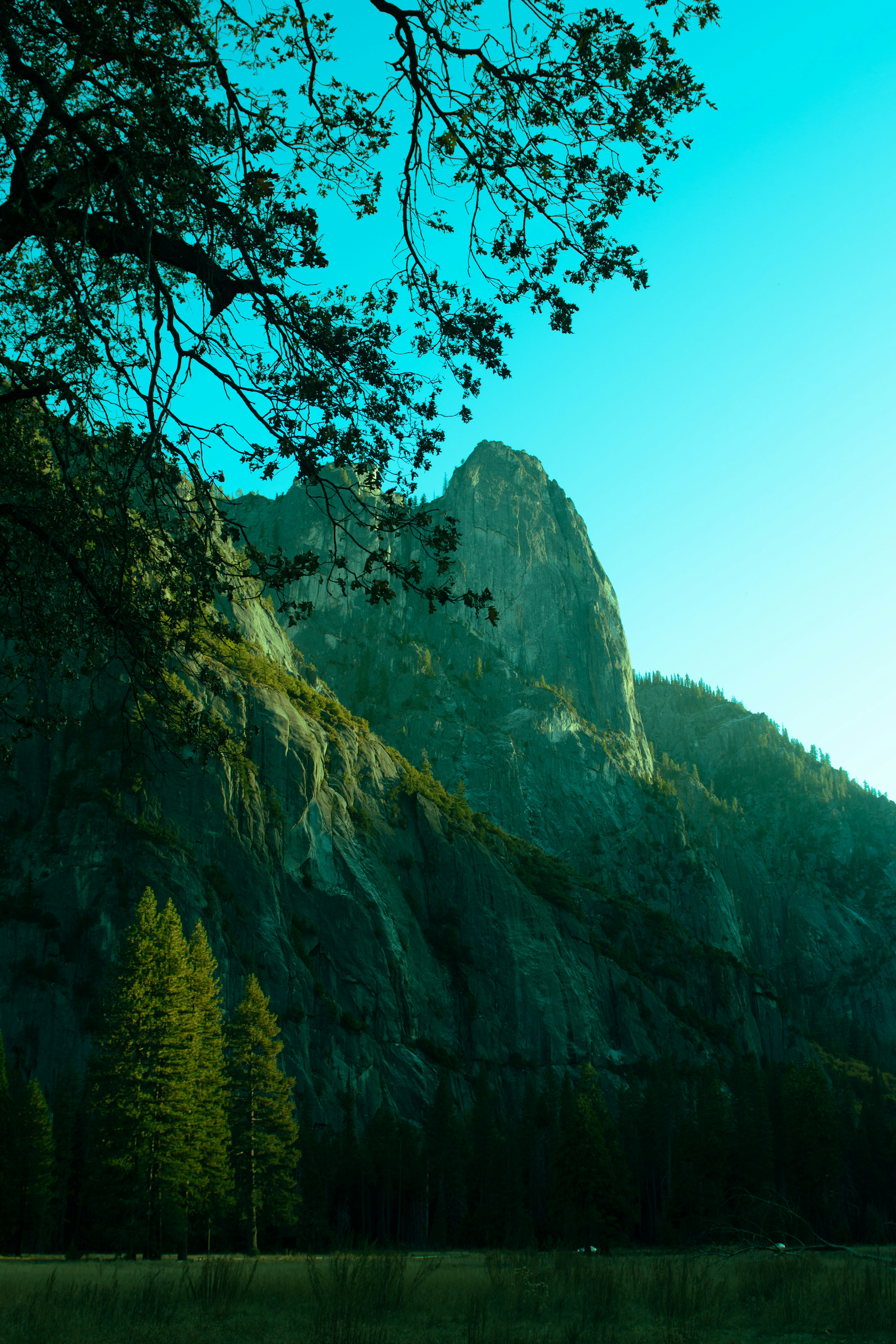 Granite Sentinel under a Cyan Sky: Morning Light over Alpine Pines