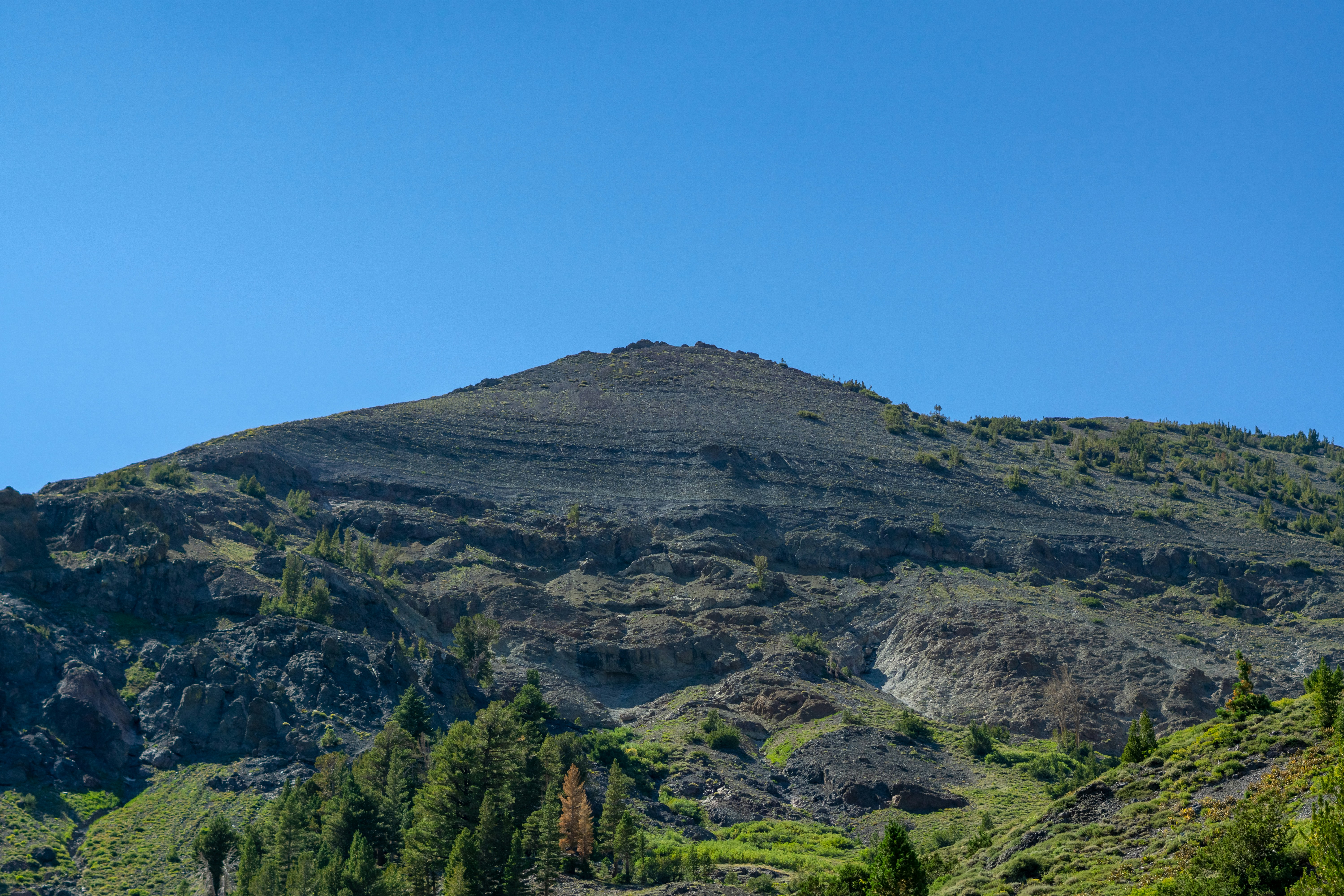 Foto zum Thema Ein großer Berg mit Bäumen darauf – Kostenloses Bild zu ...