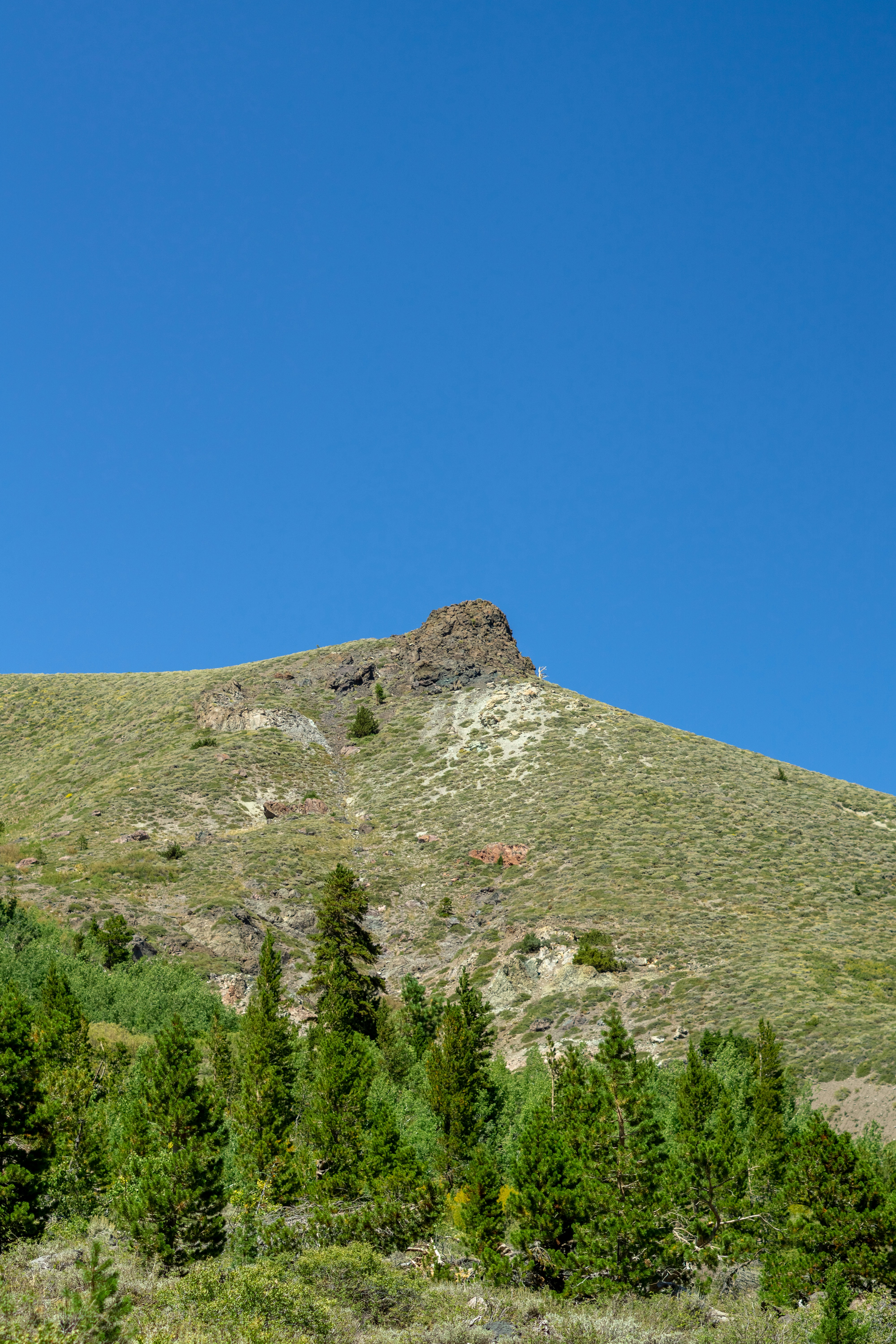 A rugged hillside crowned by a prominent rock formation, surrounded by lush evergreen trees under a clear blue sky.