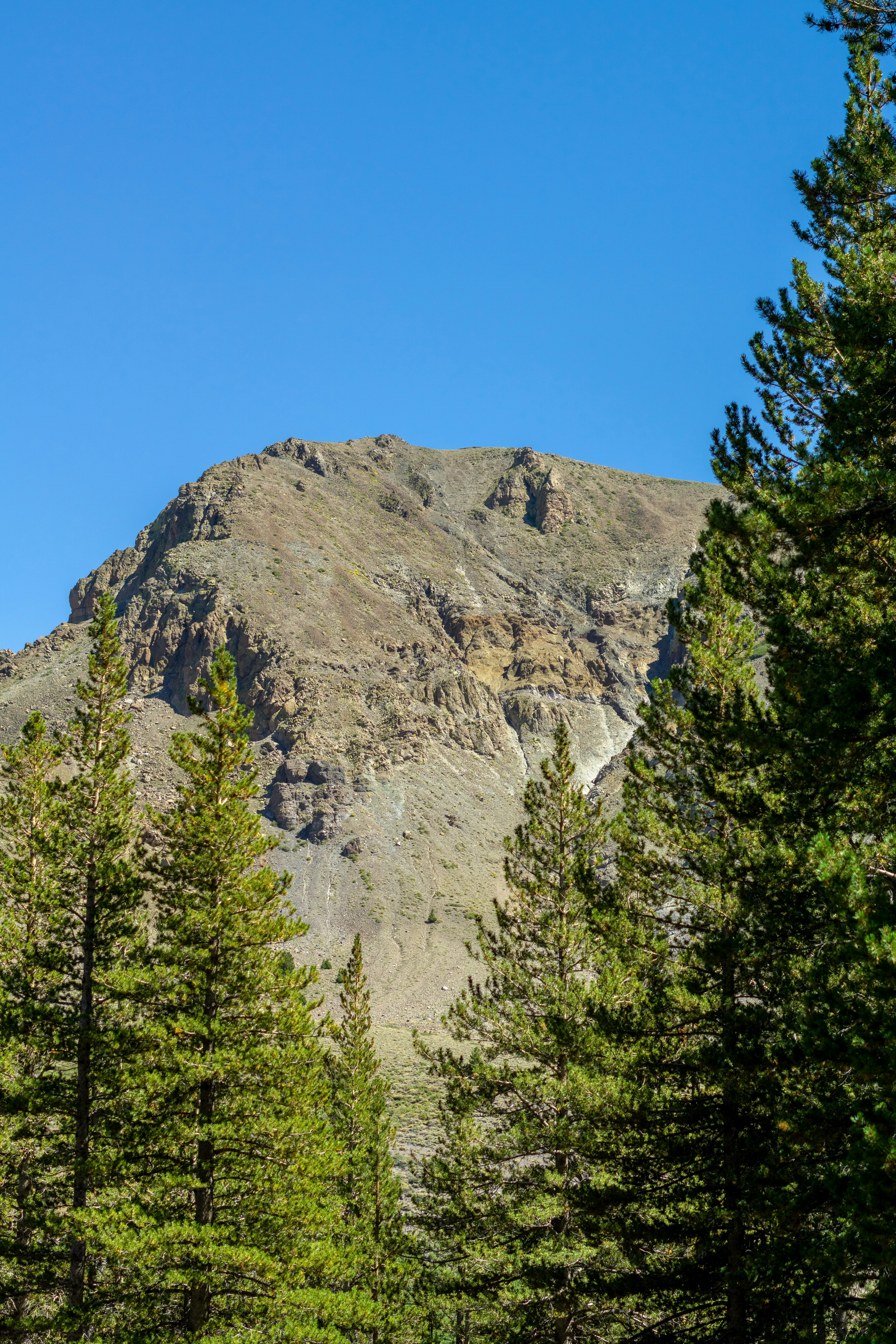 Photo by Spencer DeMera with Sony Alpha 6000