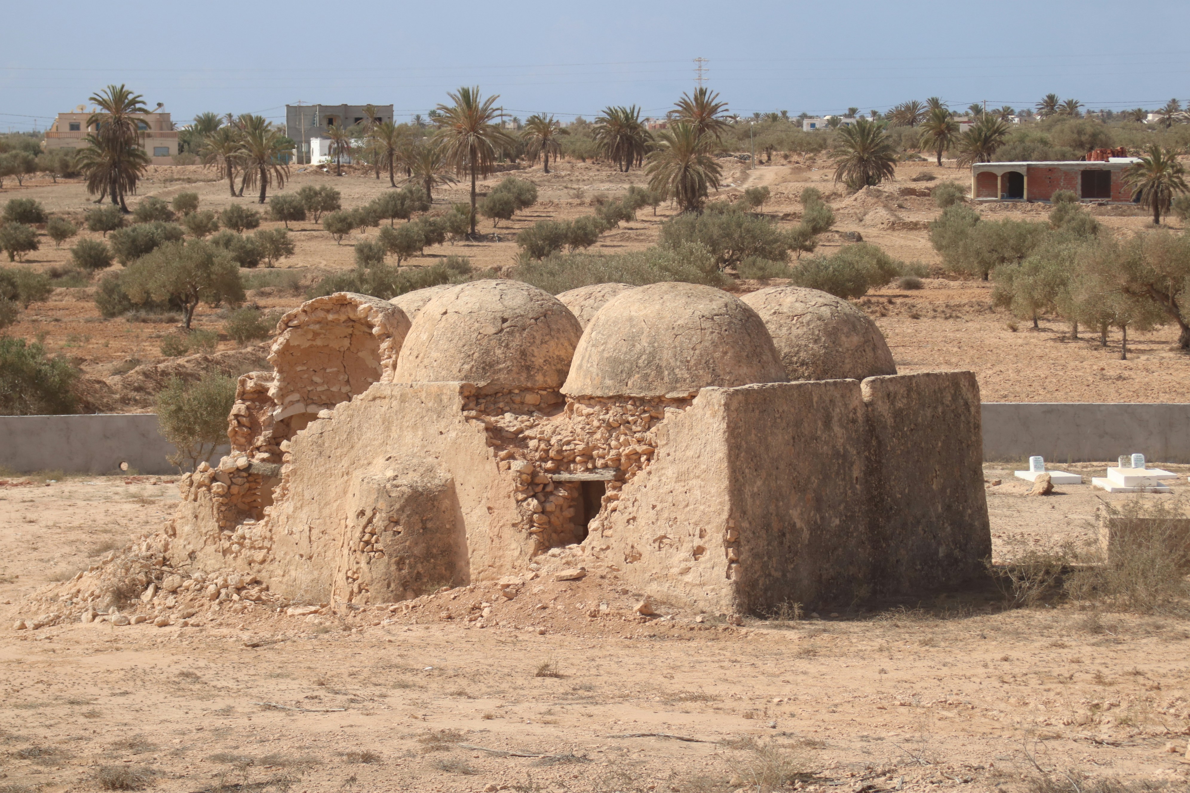 Ruins of a historical structure featuring dome-shaped roofs, surrounded by palms and arid terrain.