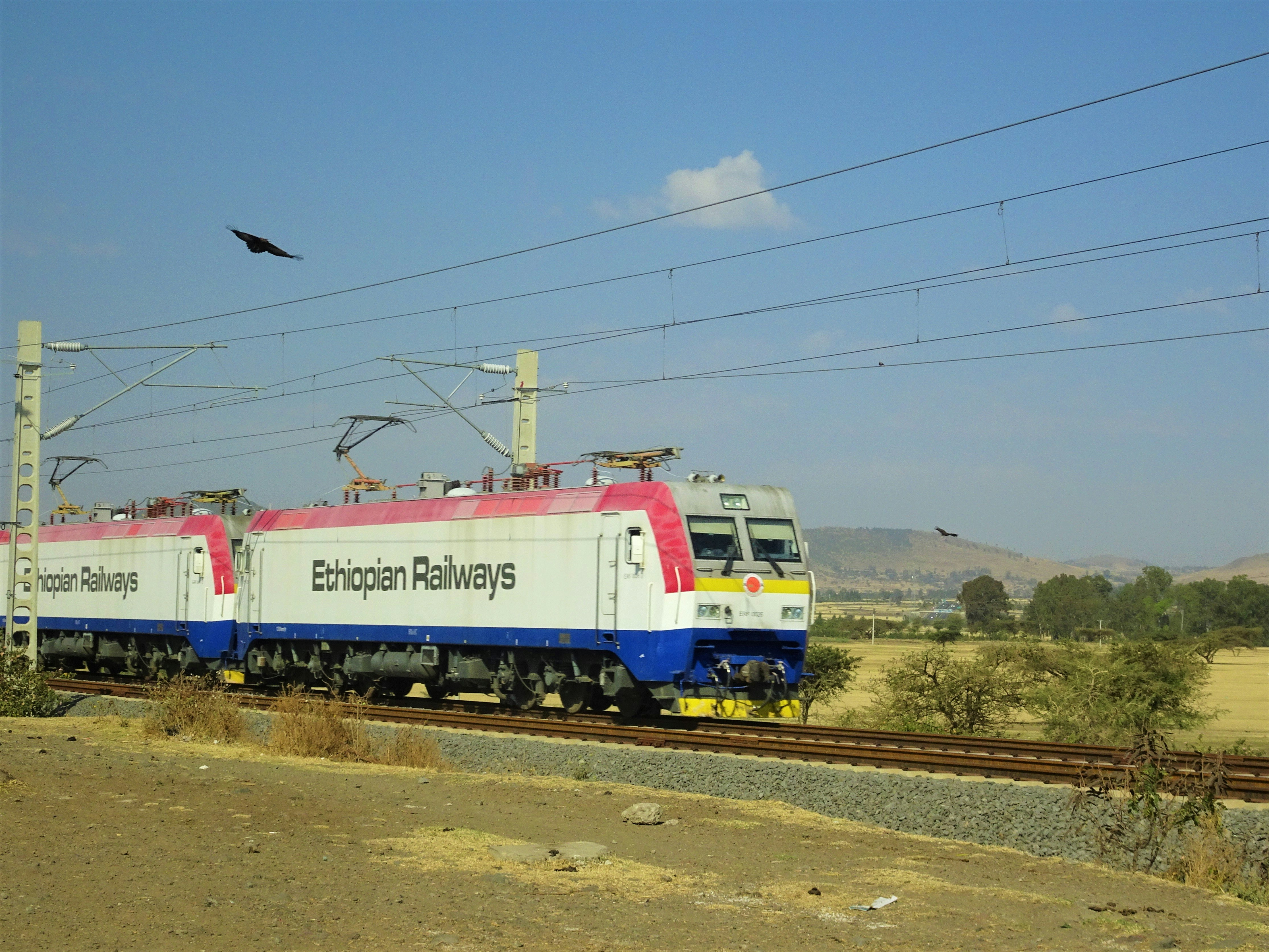 Ethiopian Railways train traveling through a rural landscape under a clear blue sky.