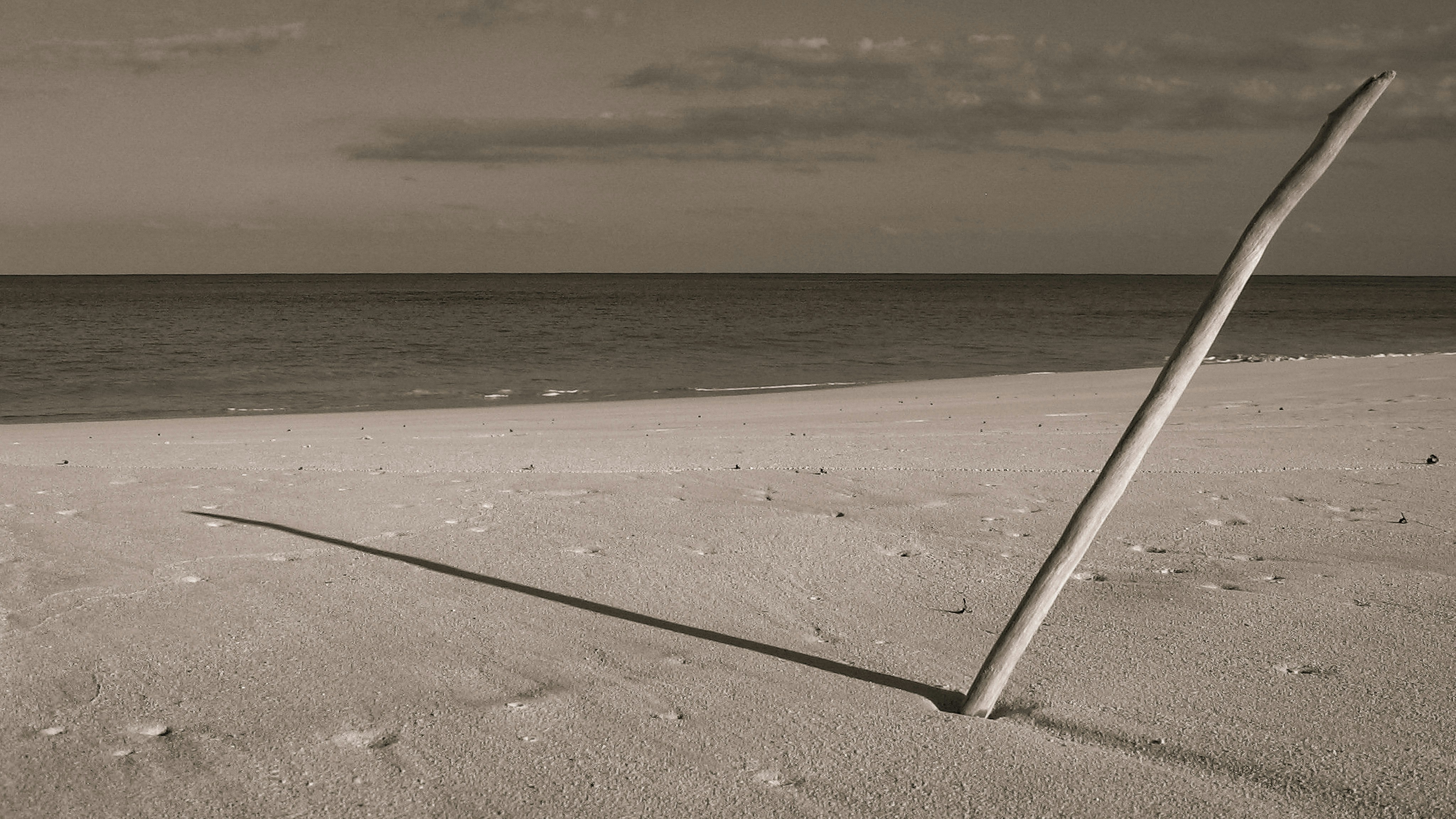 Seaside Geometry: A Lone Curved Stick Carving Silence in the Sand