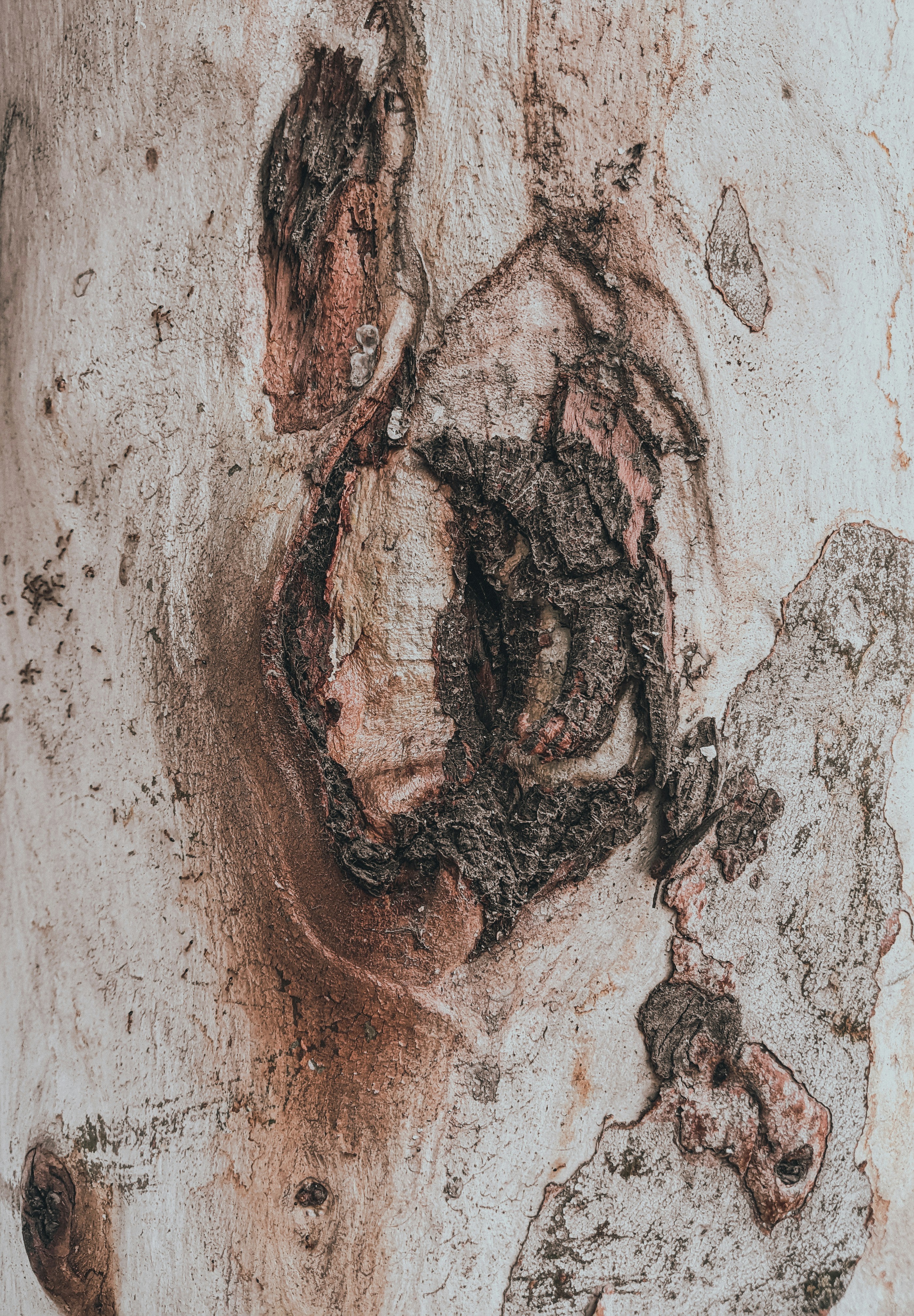 a close-up of a carving