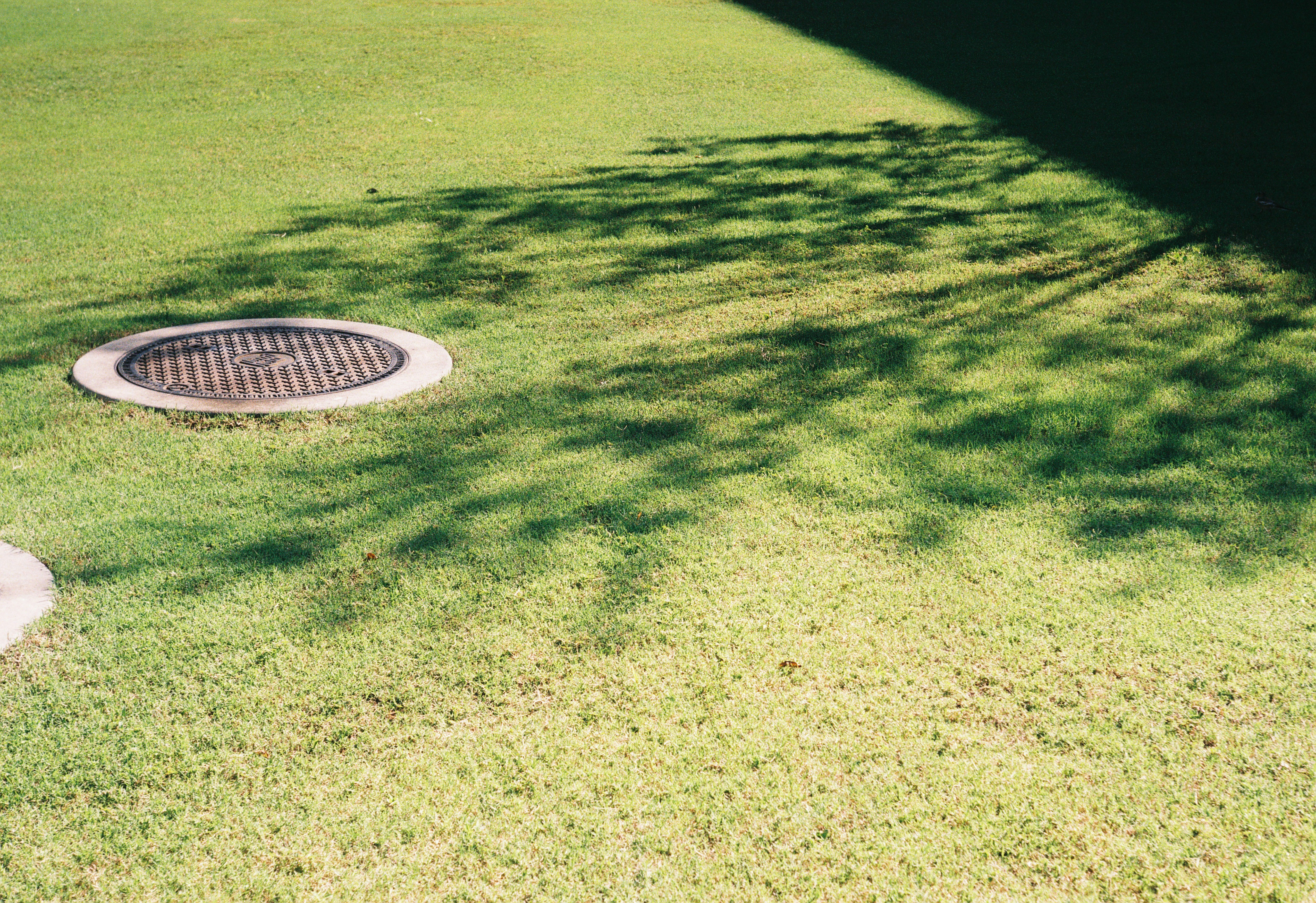 Circular Manhole on a Sunlit Park Lawn, Framed by Shadow