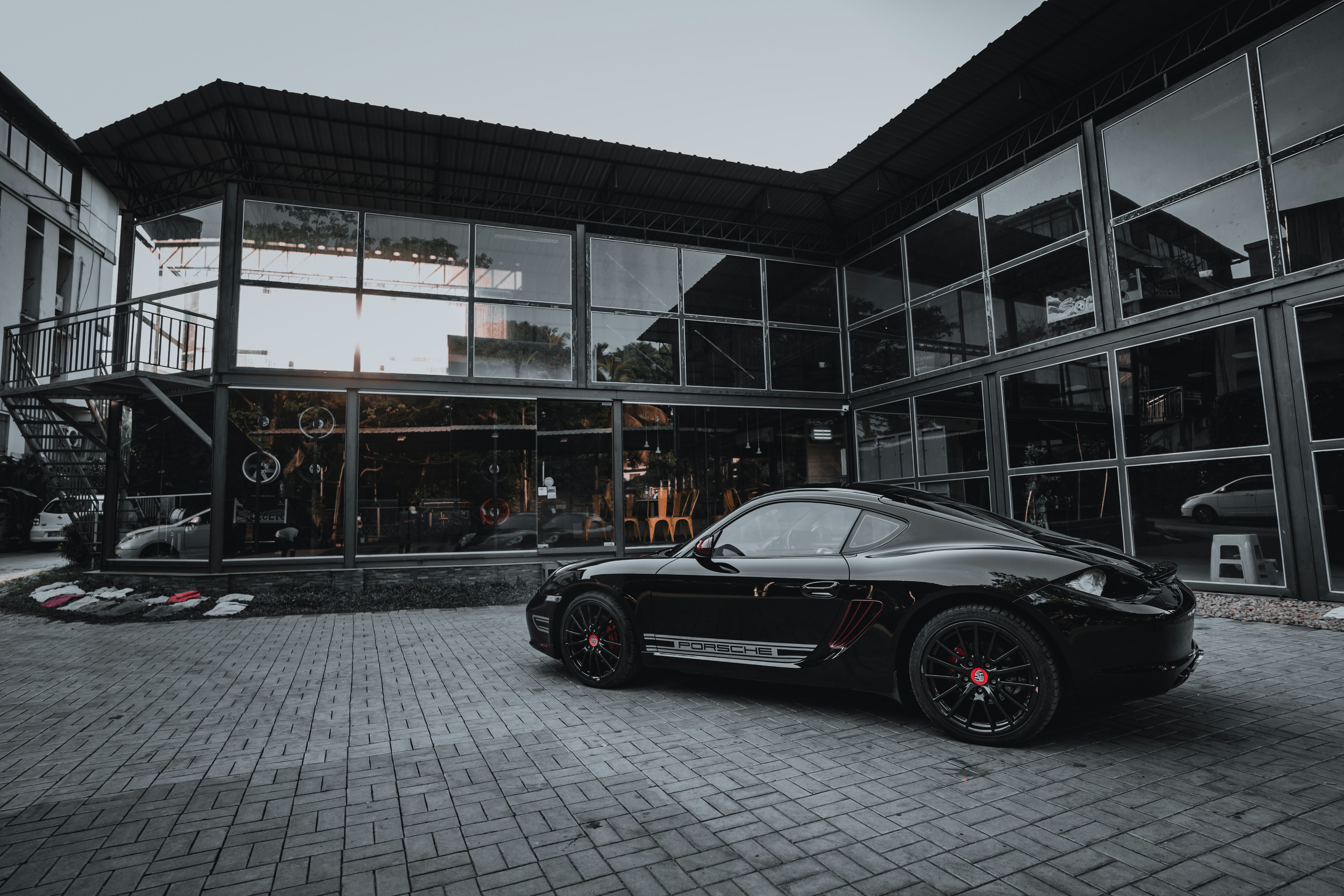 Dark Stallion by Glass Walls