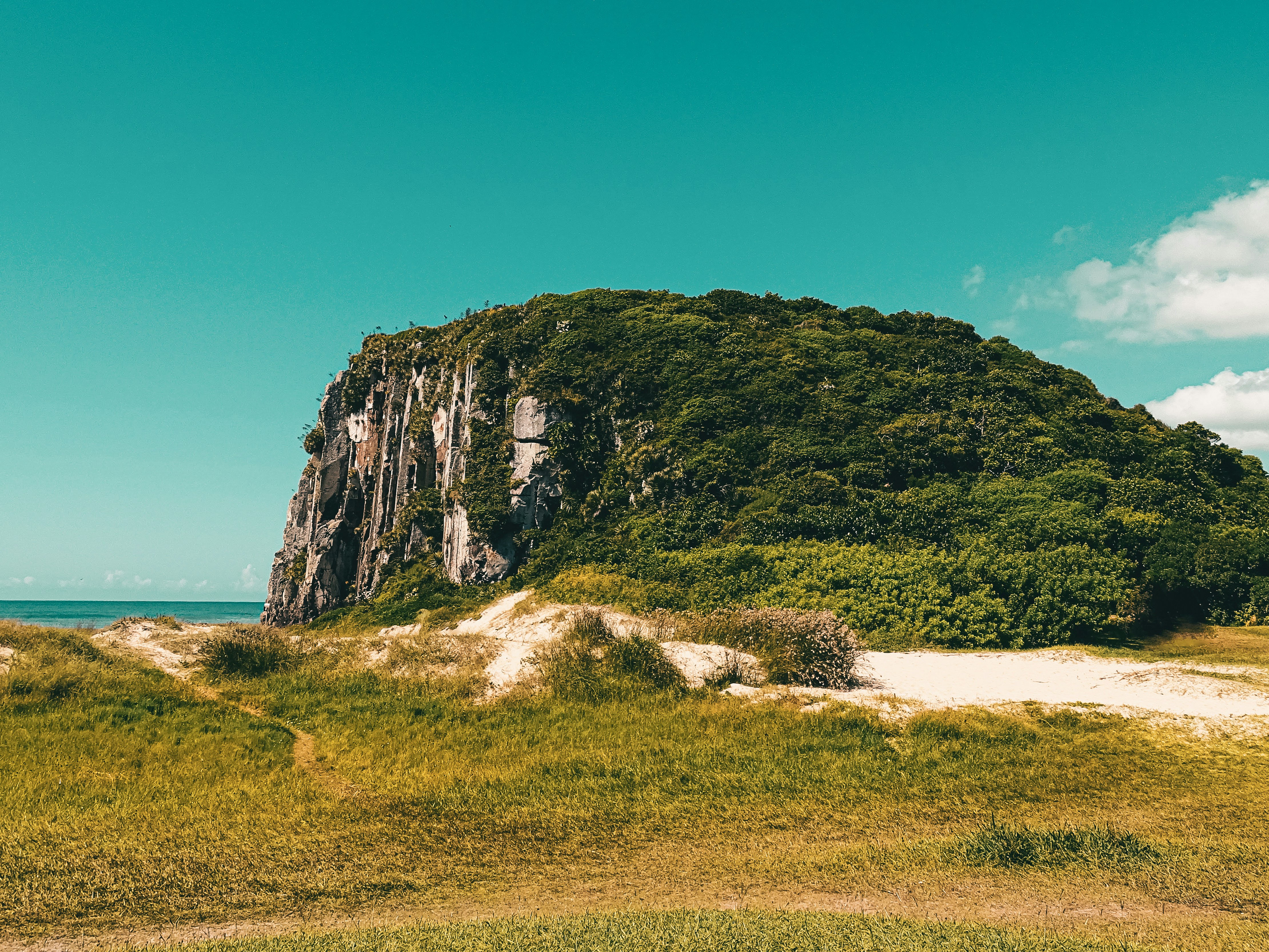 Lush green hillside rises dramatically against a clear blue sky, overlooking a sandy beach and ocean waves in the distance.