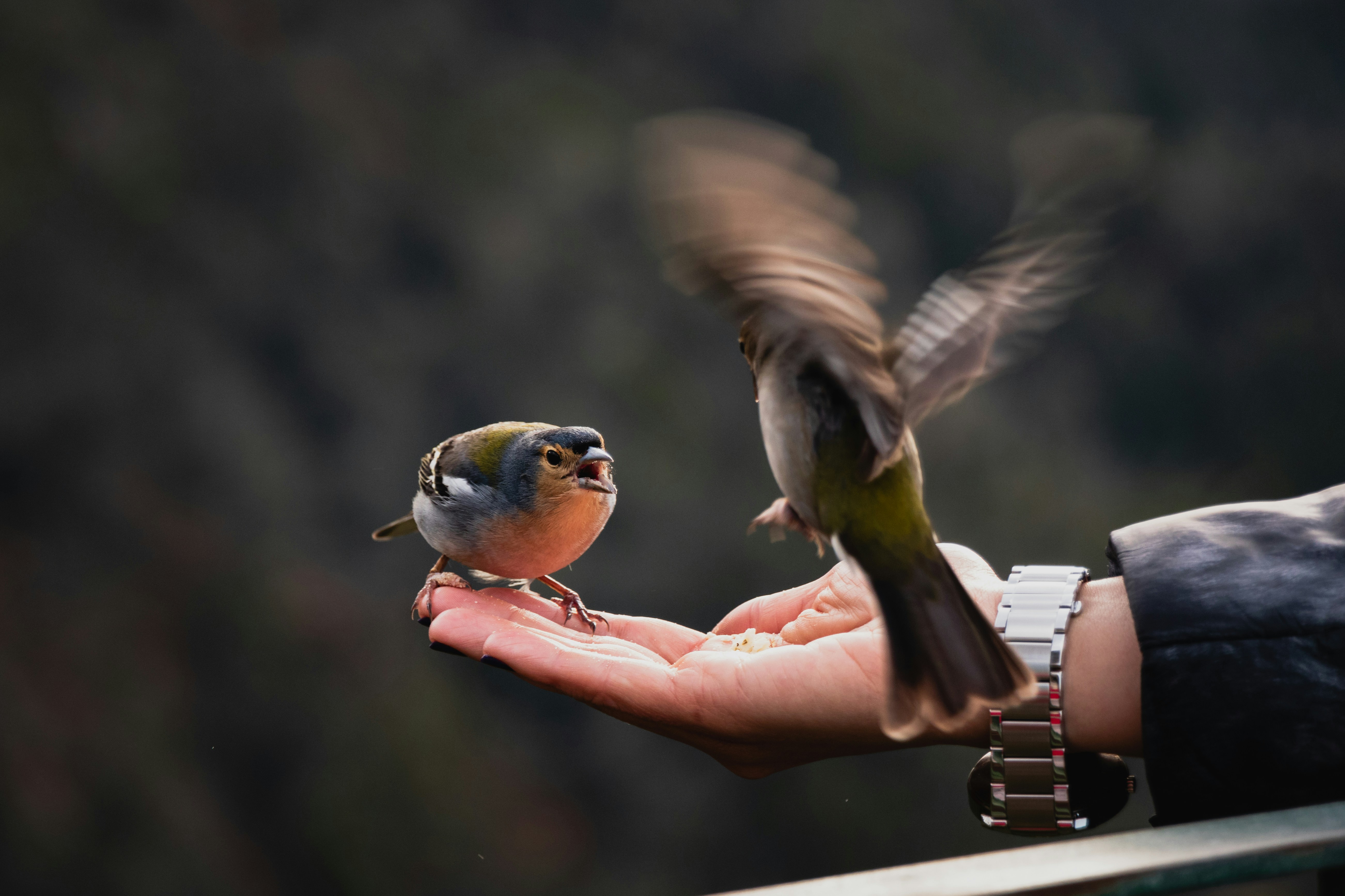 Photo by Luis Pinho with Canon EOS 80D