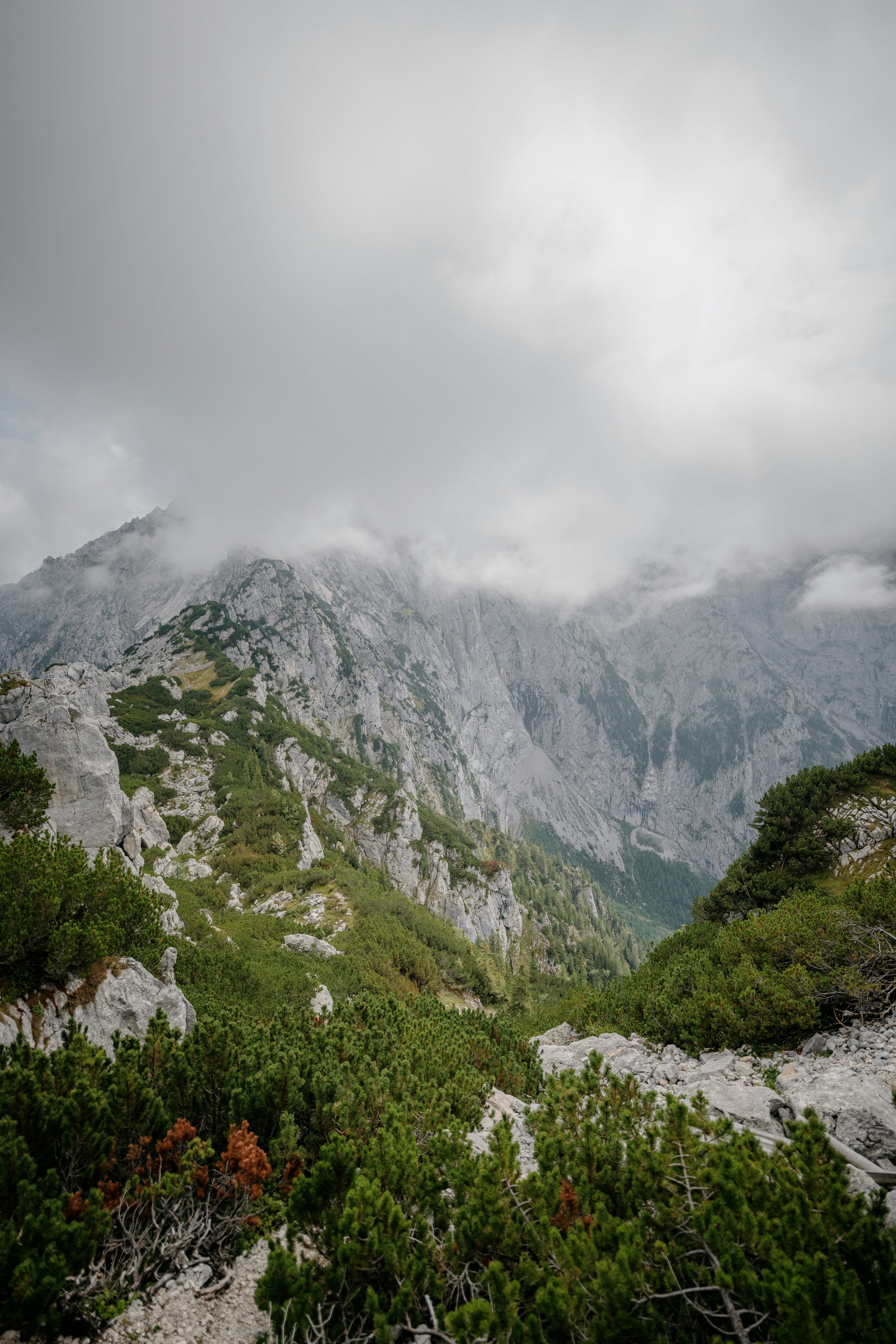 Mountain peaks shrouded in clouds with rugged terrain and green vegetation in the foreground.
