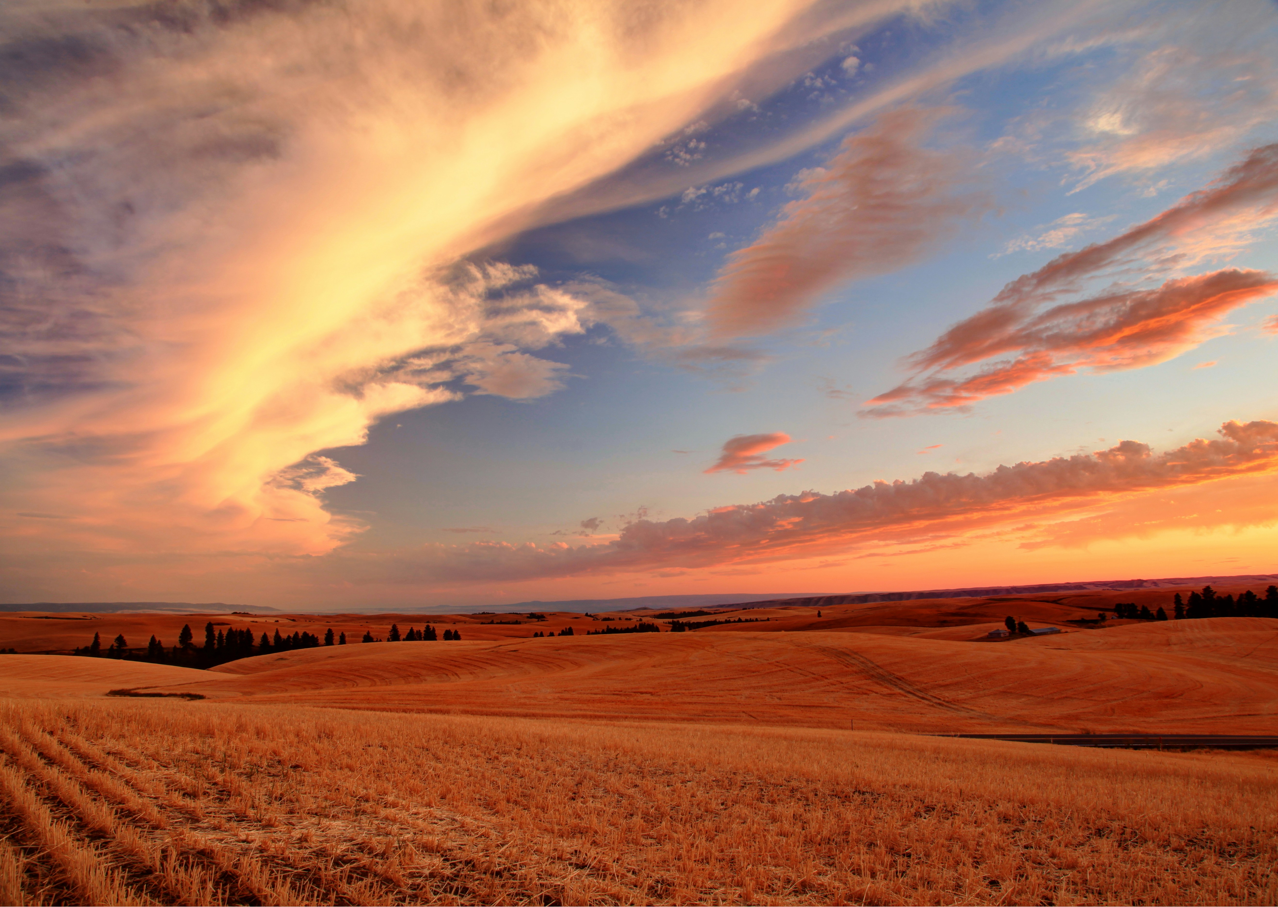 A large field with a sunset photo – Free Kendrick Image on Unsplash