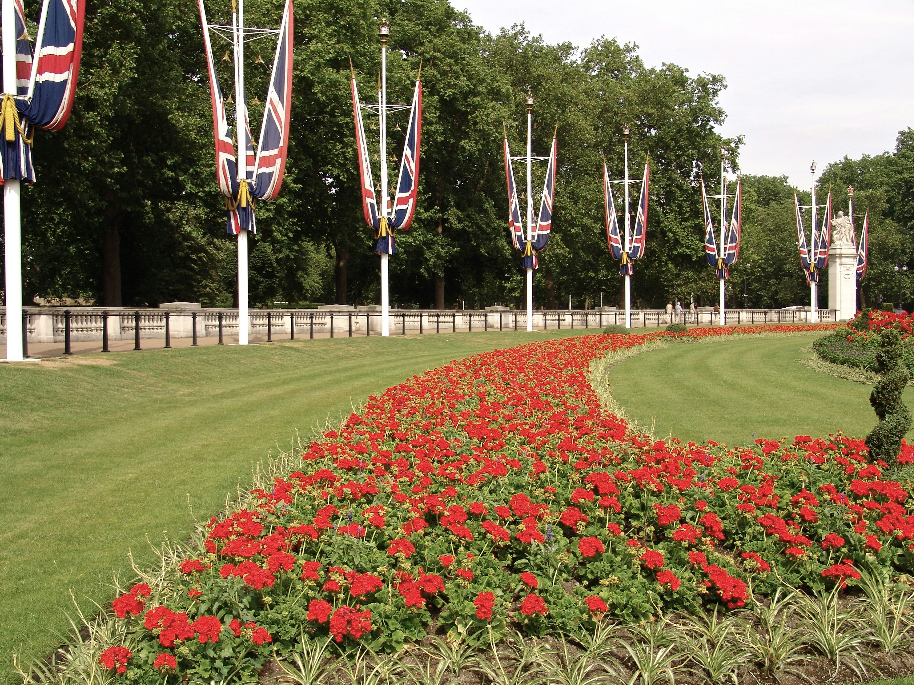 Red Tulips and Union Flags Line a Curved Garden Path