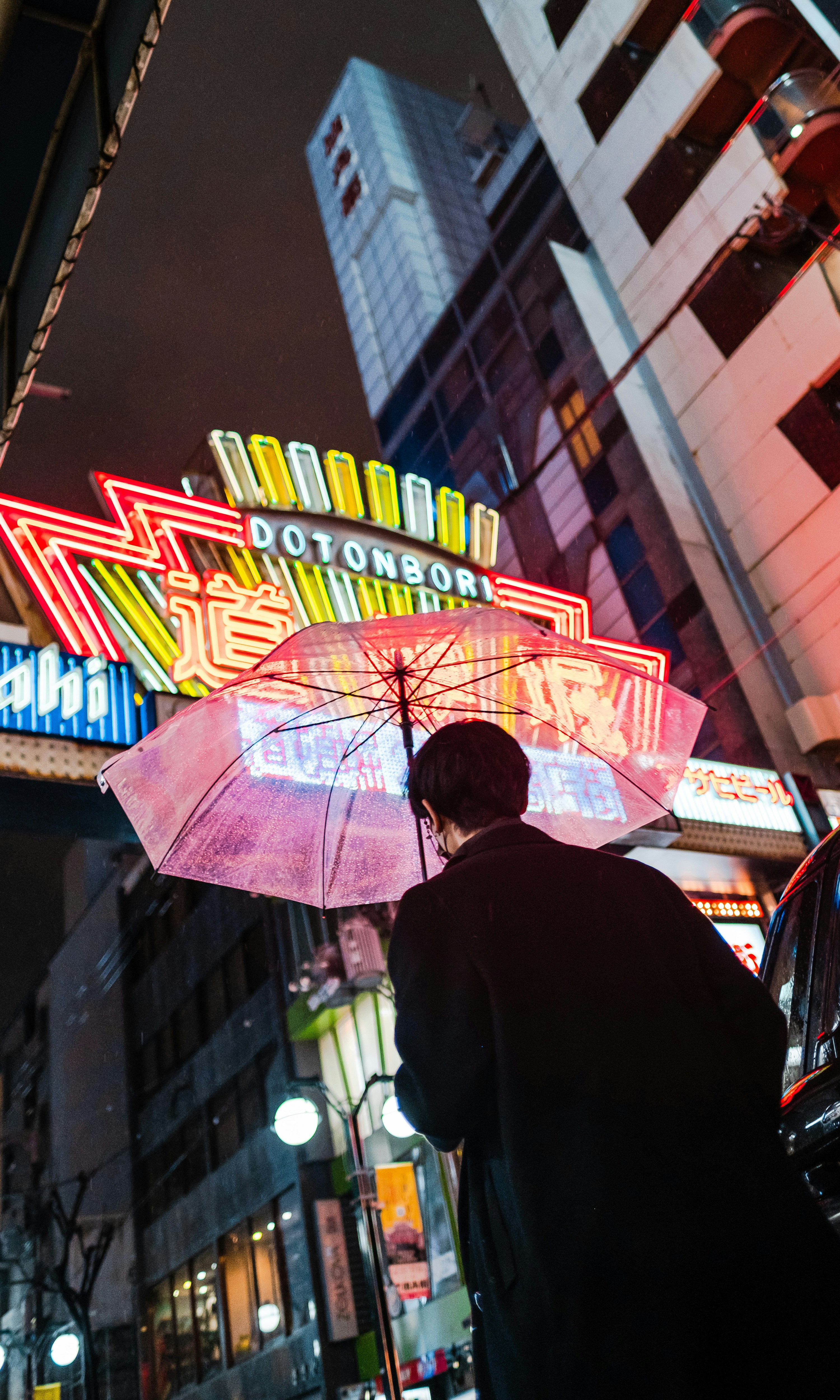 Laura Thonne (@laurathonne) | Unsplashフォトコミュニティ